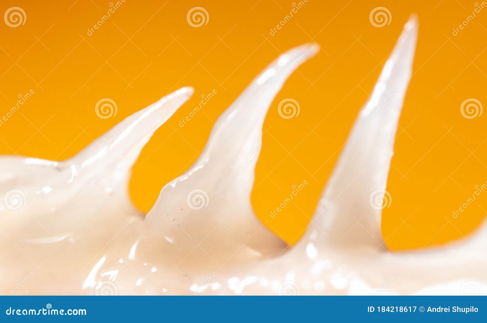 Trout Fish Teeth on a Yellow Background Stock Image - Image of macro ...