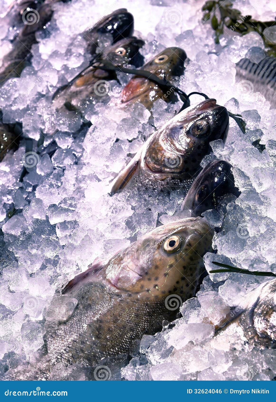 Trout in the ice stock photo. Image of store, trout, refrigerator ...