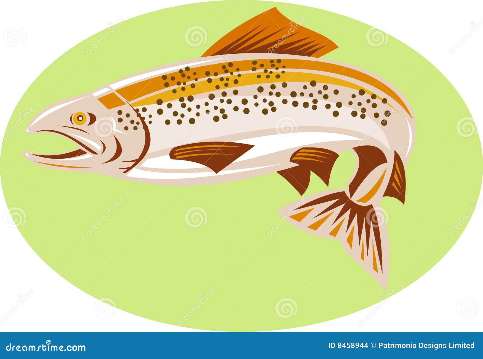 Trout jumping stock vector. Illustration of trout, water - 8458944