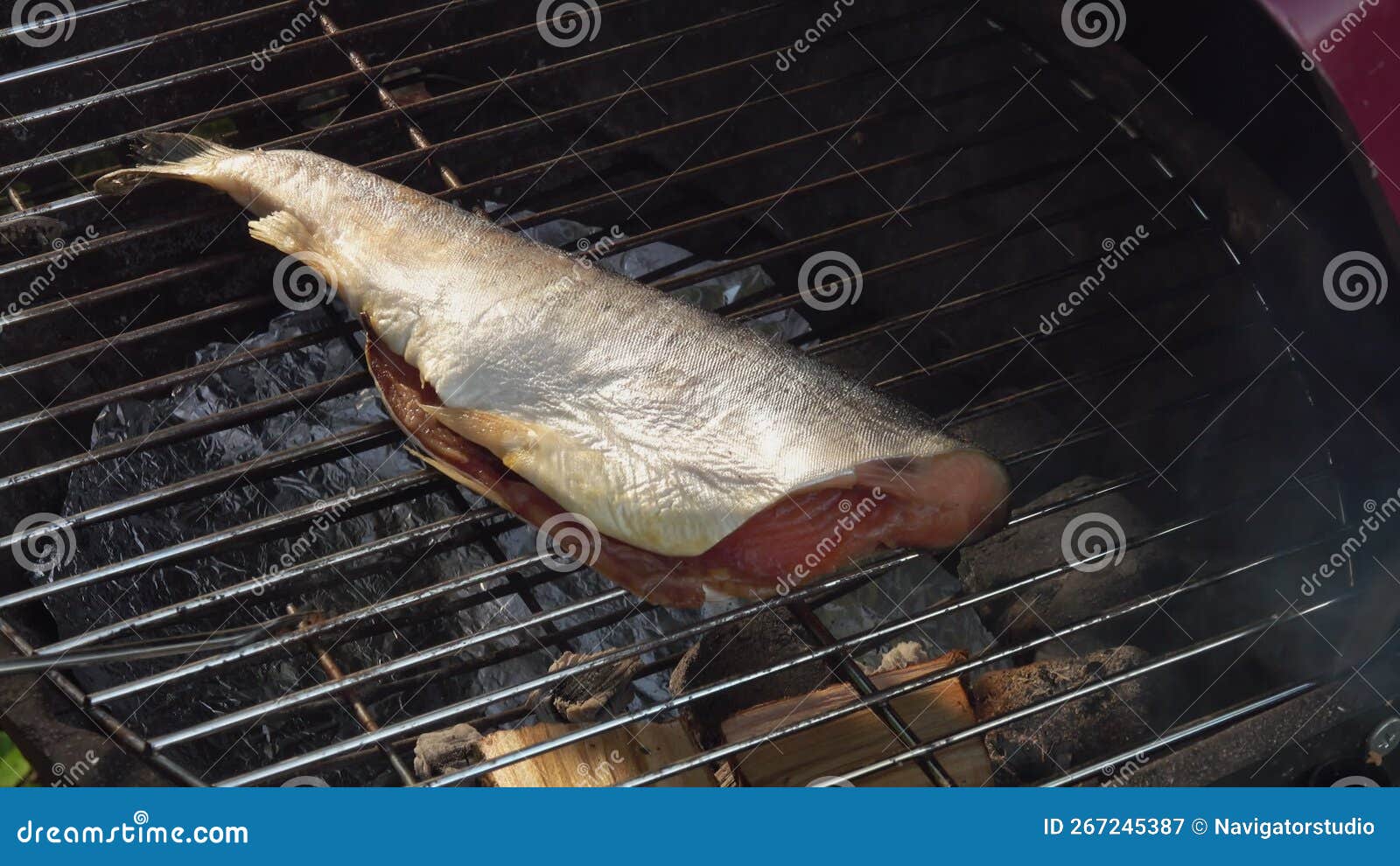 Trout Lying on a Grate Put in a Smokehouse Stock Video - Video of ...
