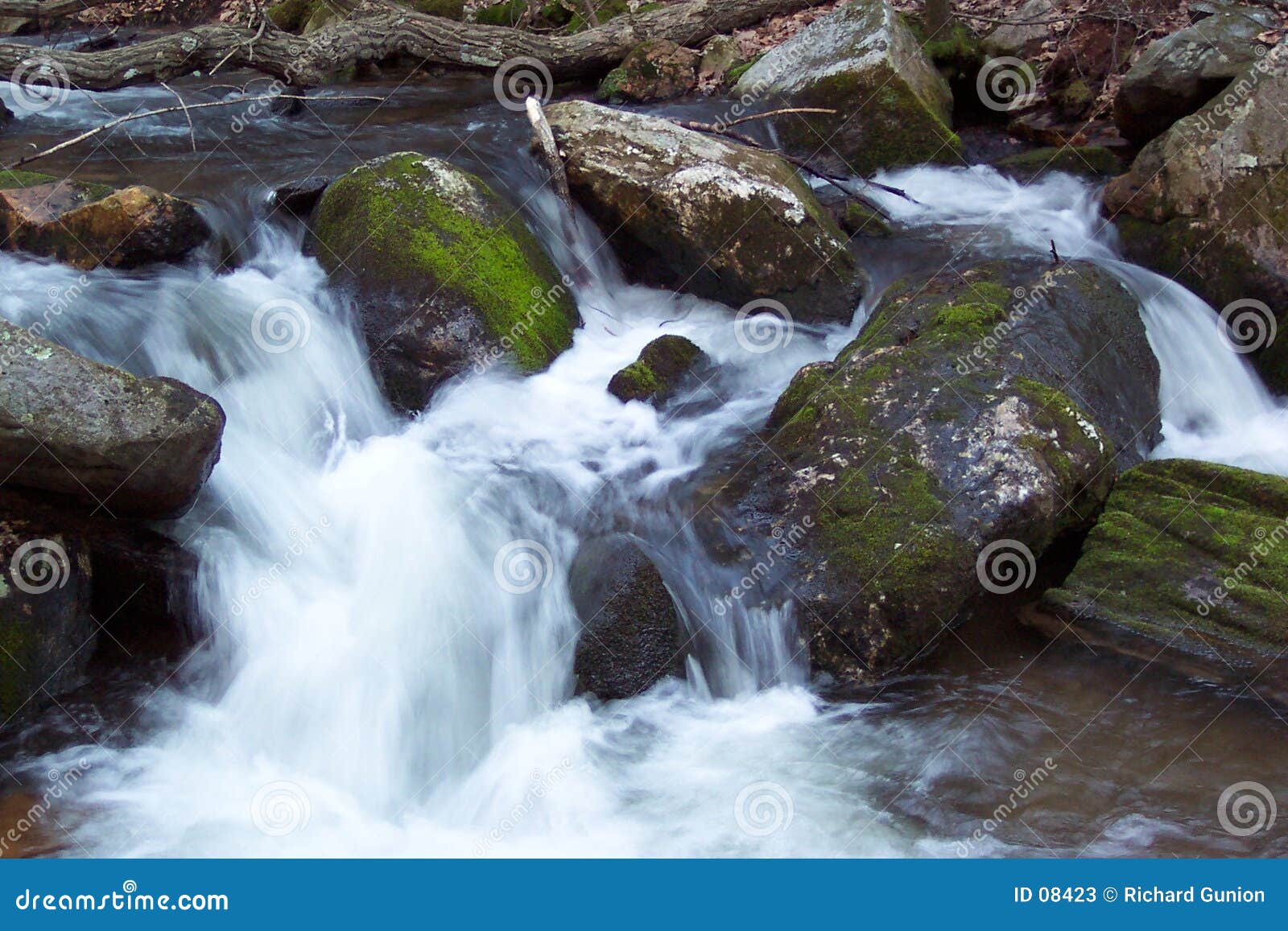 Trout Stream stock image. Image of brook, maryland, water - 8423