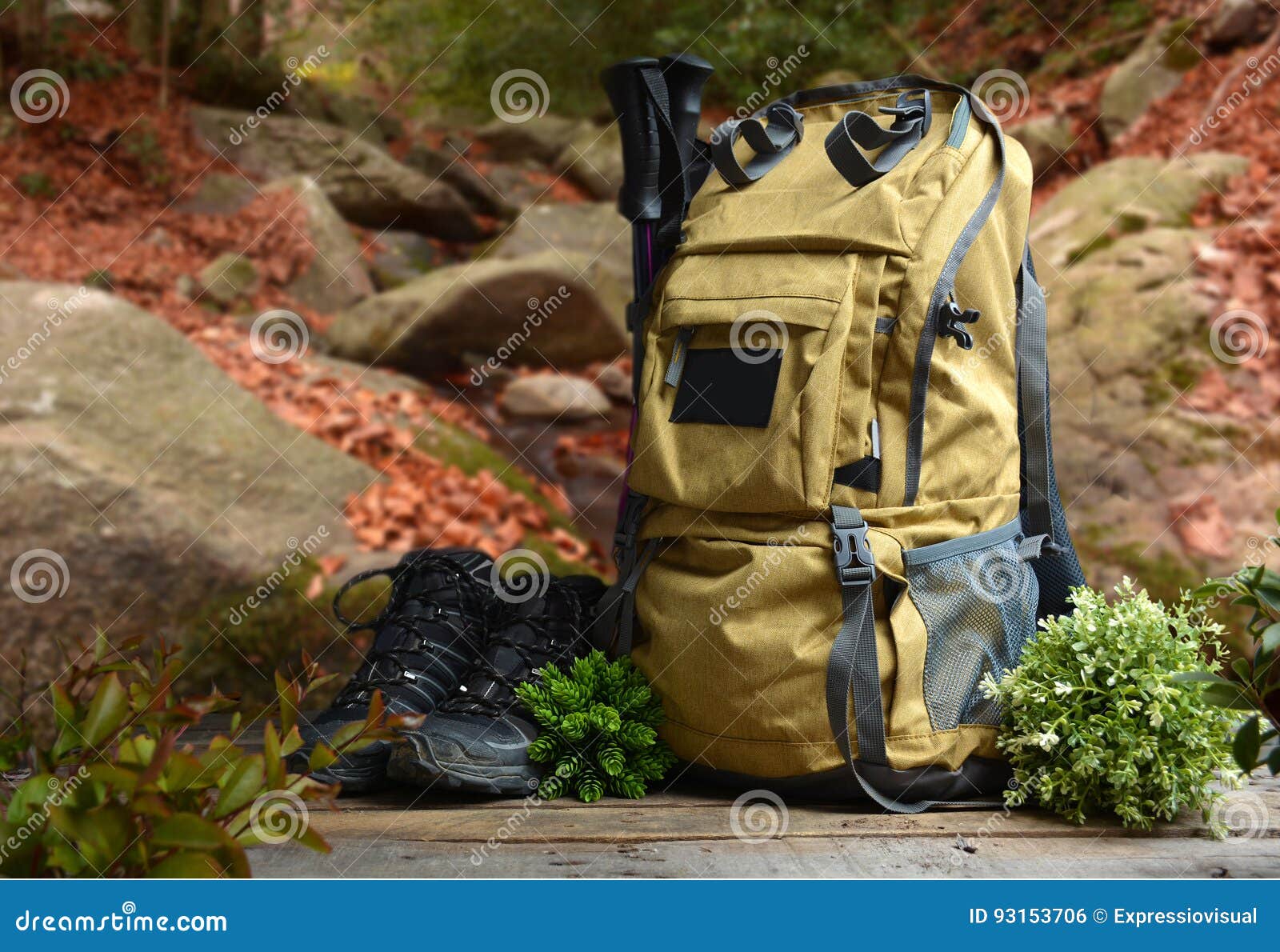 Trouxa Que Caminha Com As Botas Da Montanha Foto de Stock - Imagem de ...