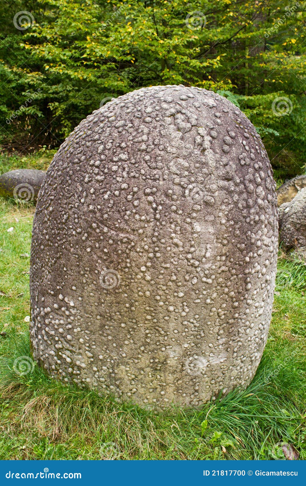 Trovants stock photo. Image of rock, museum, detail, concretions - 21817700