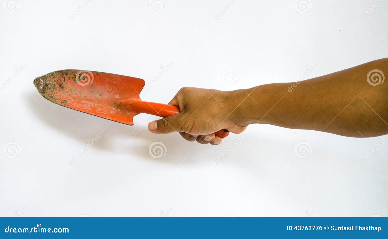 Trowels in hand stock photo. Image of object, housework - 43763776