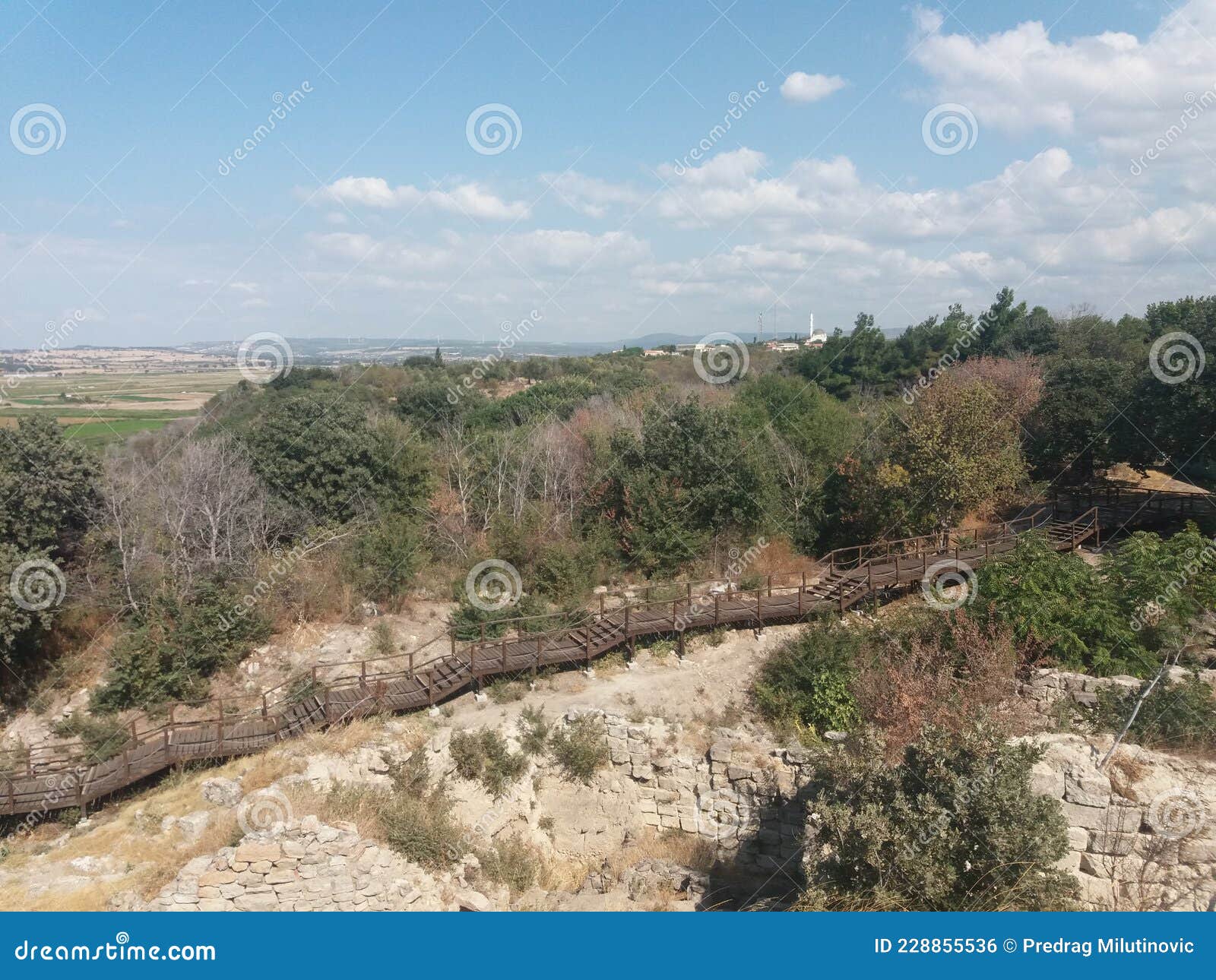 Troy - history stock photo. Image of tree, greek, heroic - 228855536