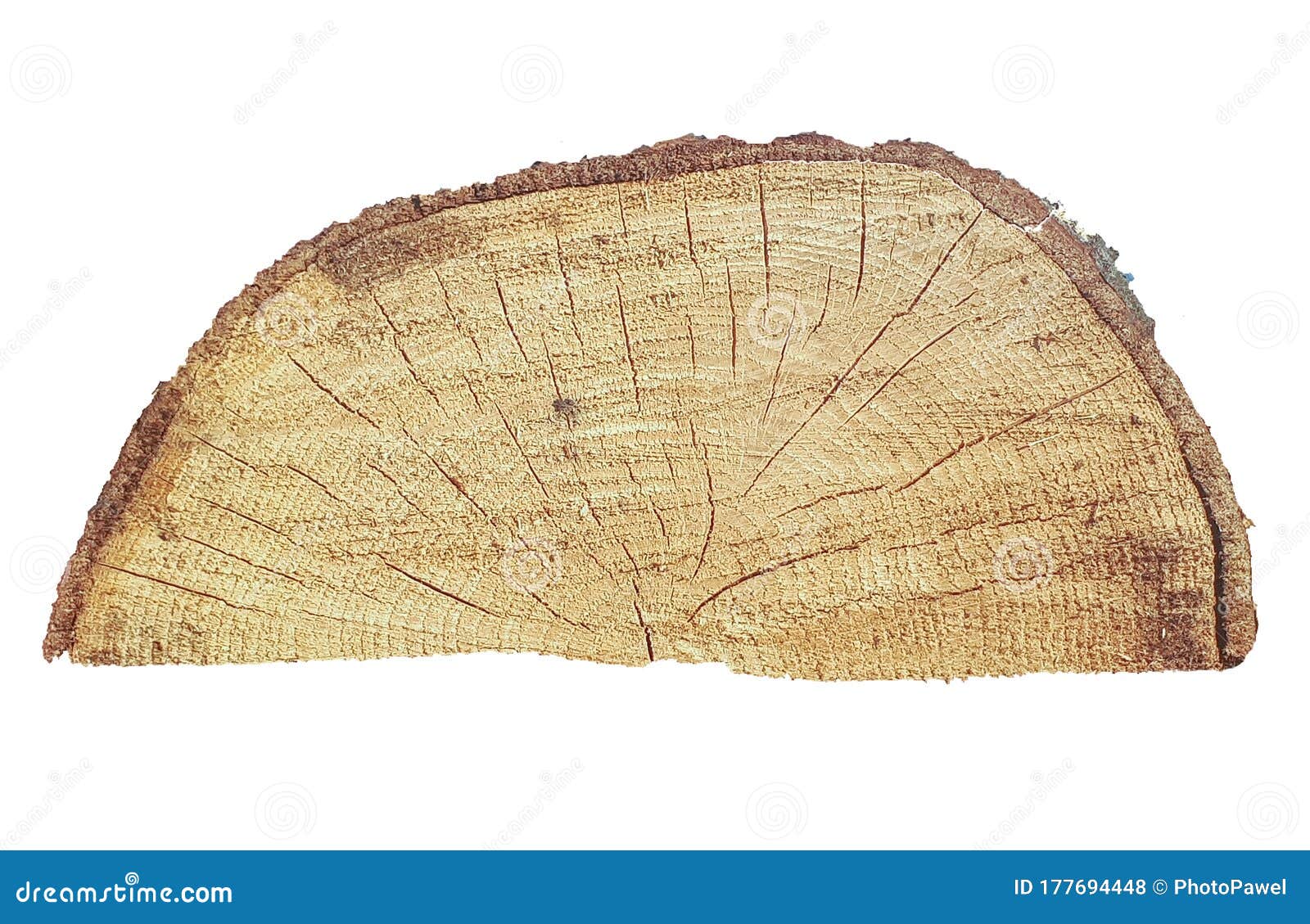 Trozo de madera aislado foto de archivo. Imagen de ambiente - 177694448