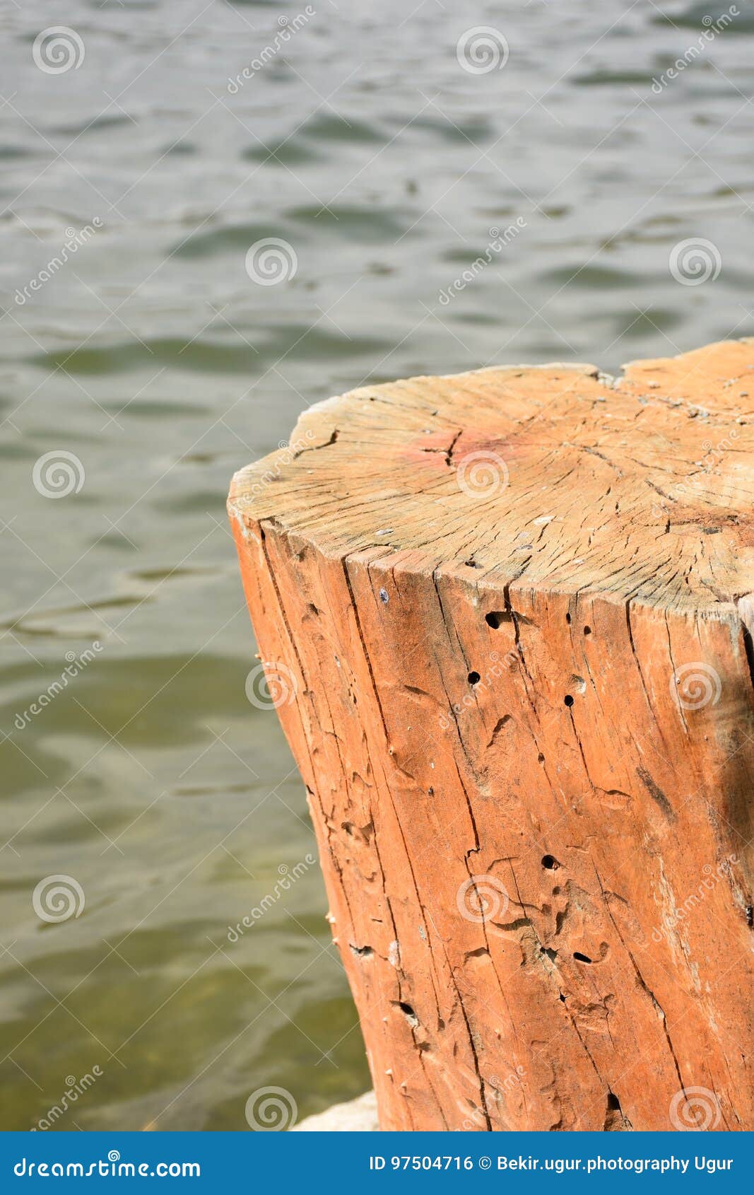 Trozo en el lago foto de archivo. Imagen de pino, travieso - 97504716