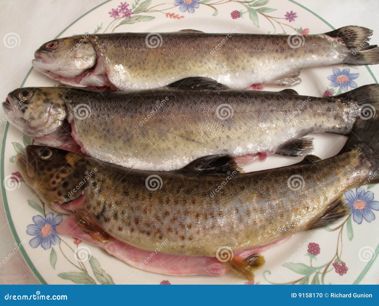 Trucha fresca para la cena foto de archivo. Imagen de retén - 9158170