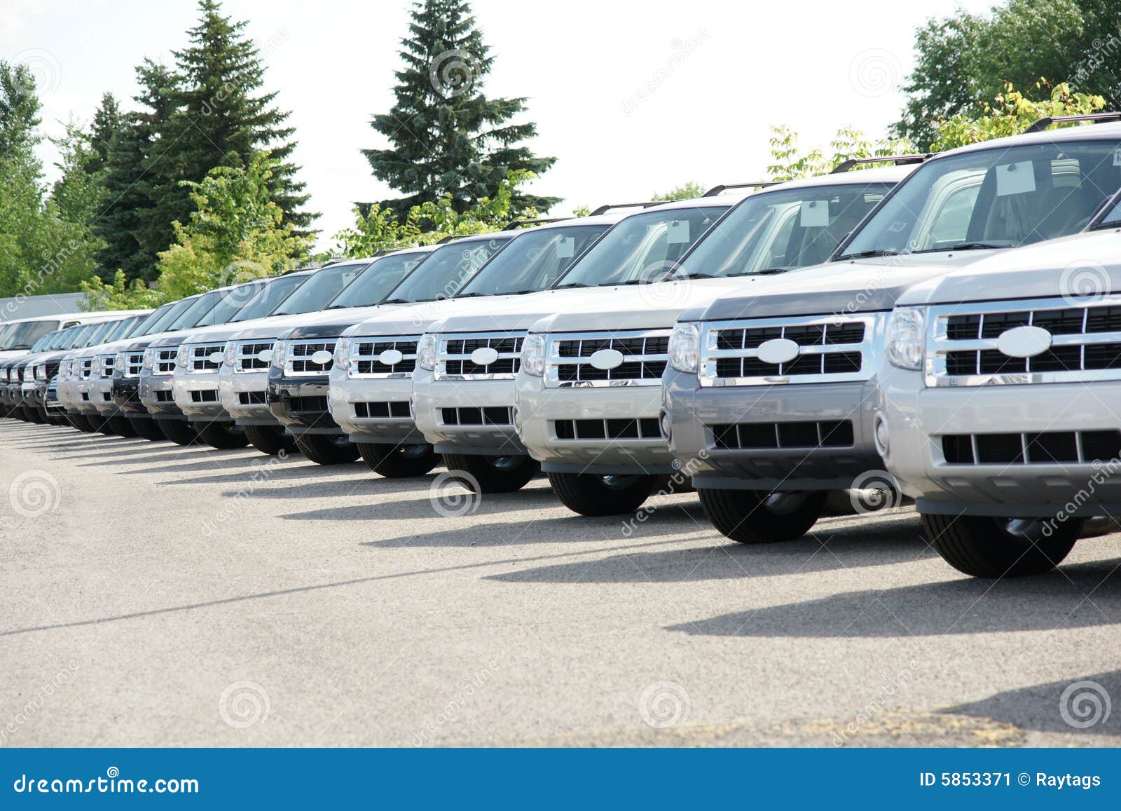 Car Dealership Inventory With Passeger Vehicles Parked In Garage ...