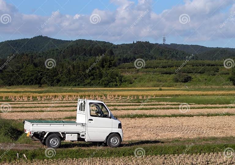 Truck in the field stock photo. Image of farmland, rural - 260254