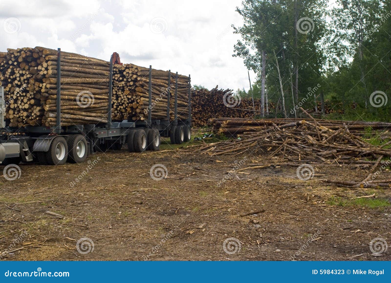 Large Lumber Sawed Log Stacked Firewood Wood Lumber Timber Stack Logs ...