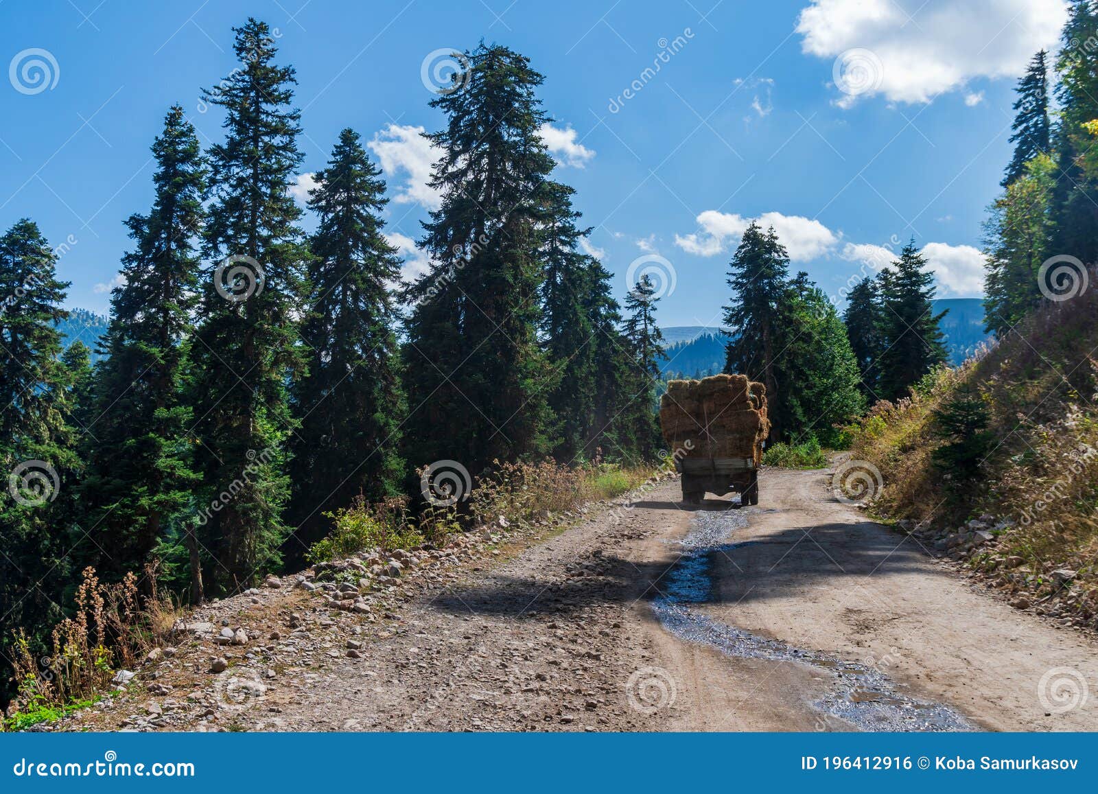 Truck Loaded with Hay Rides on Goderdzi Pass, Ajara Stock Photo - Image ...