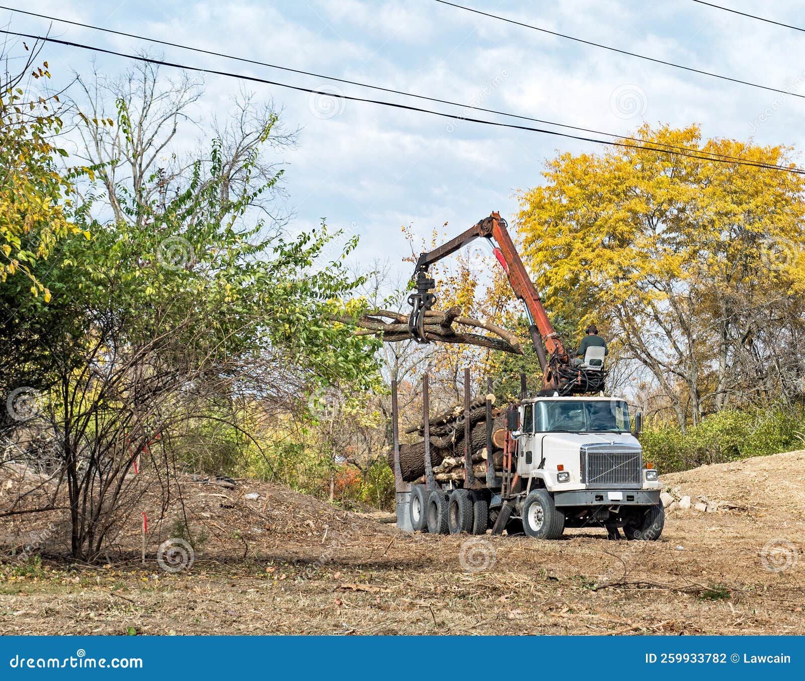 Truck Loading Tree Logs Onto Truck Bed Stock Photo - Image of ...