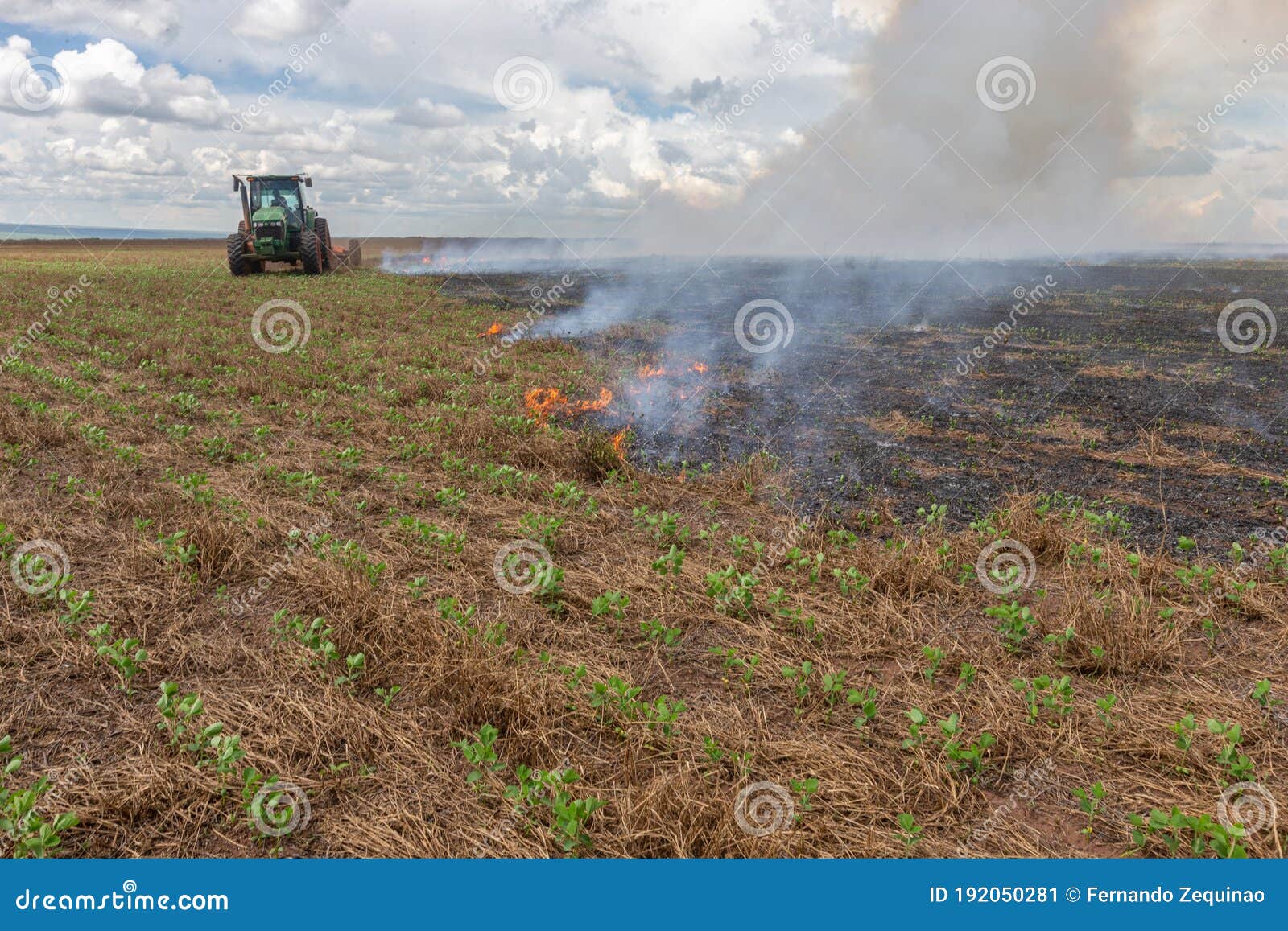 Truck Putting Fire Down on Crop Field Stock Image - Image of land ...