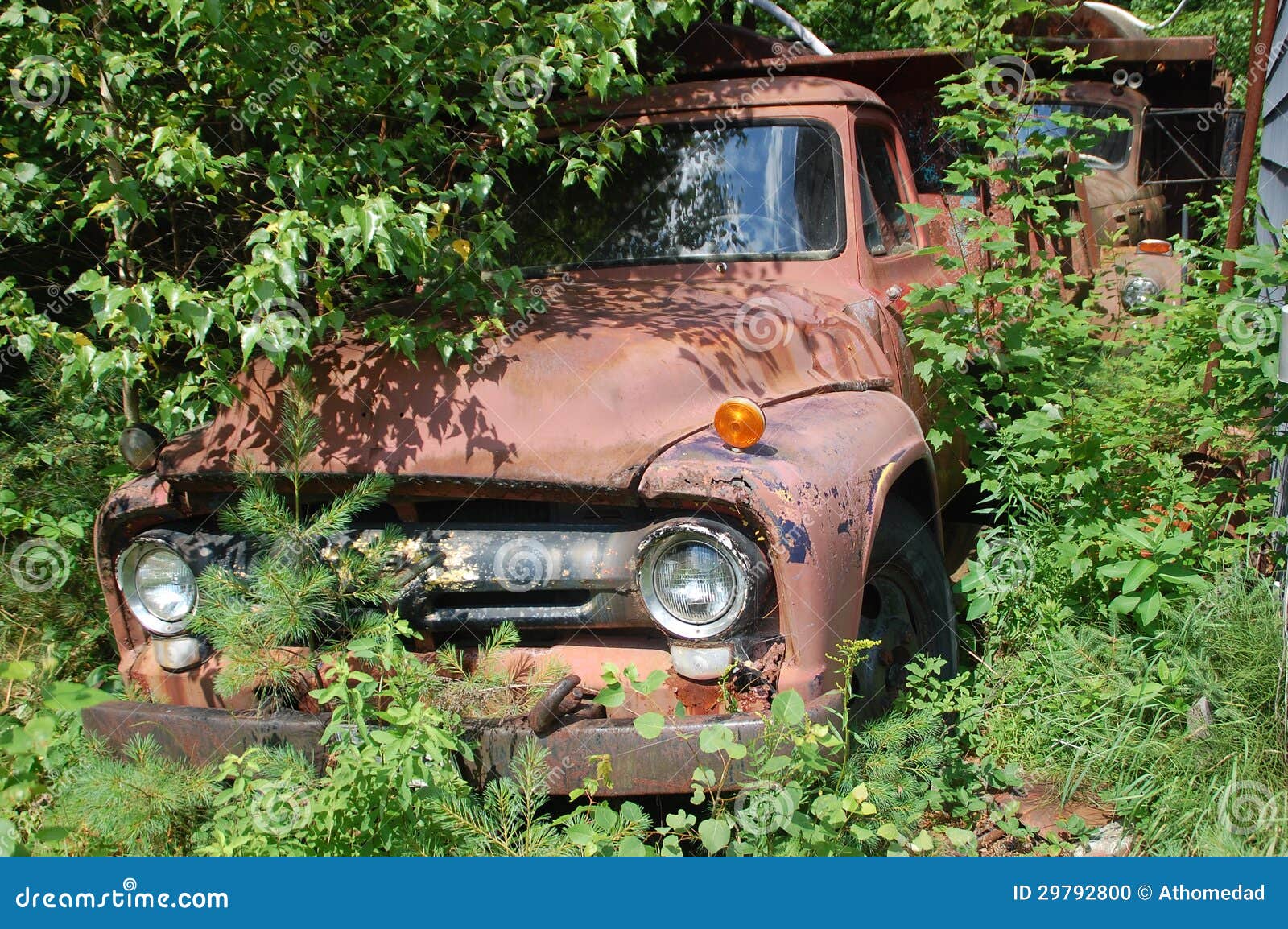 Rusted Truck stock photo. Image of forest, woods, truck - 29792800