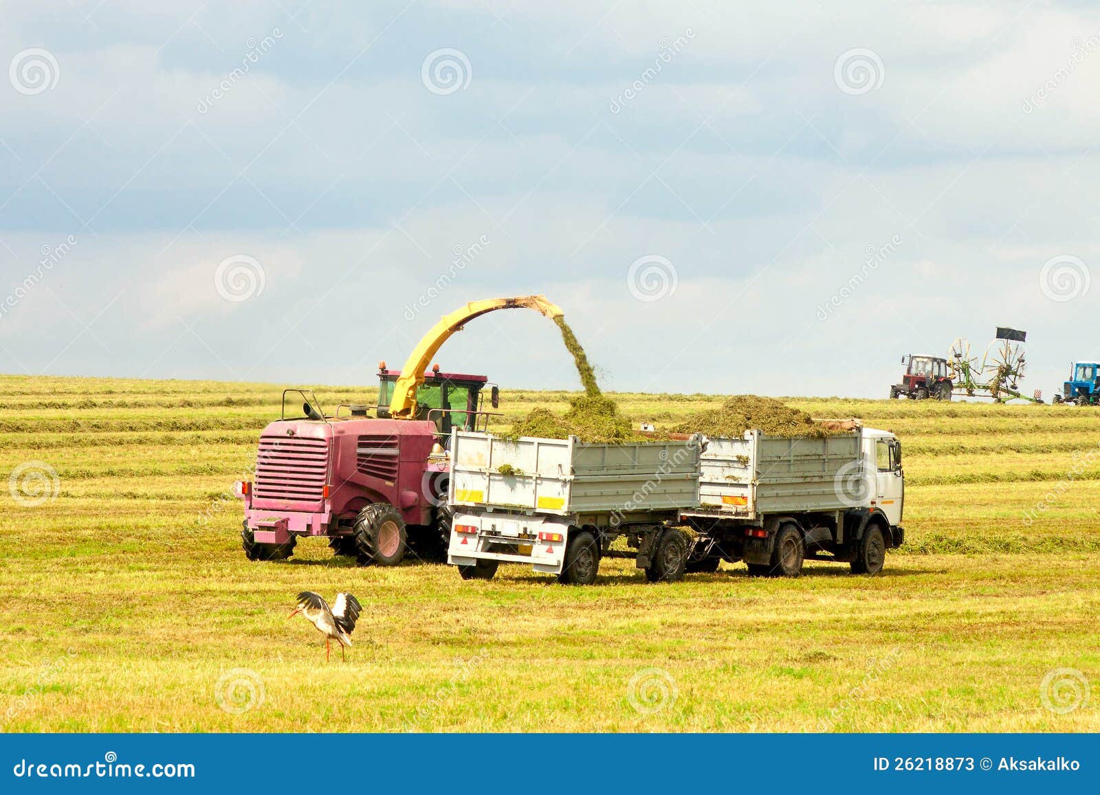 Truck taking the grain stock image. Image of field, harvester - 26218873