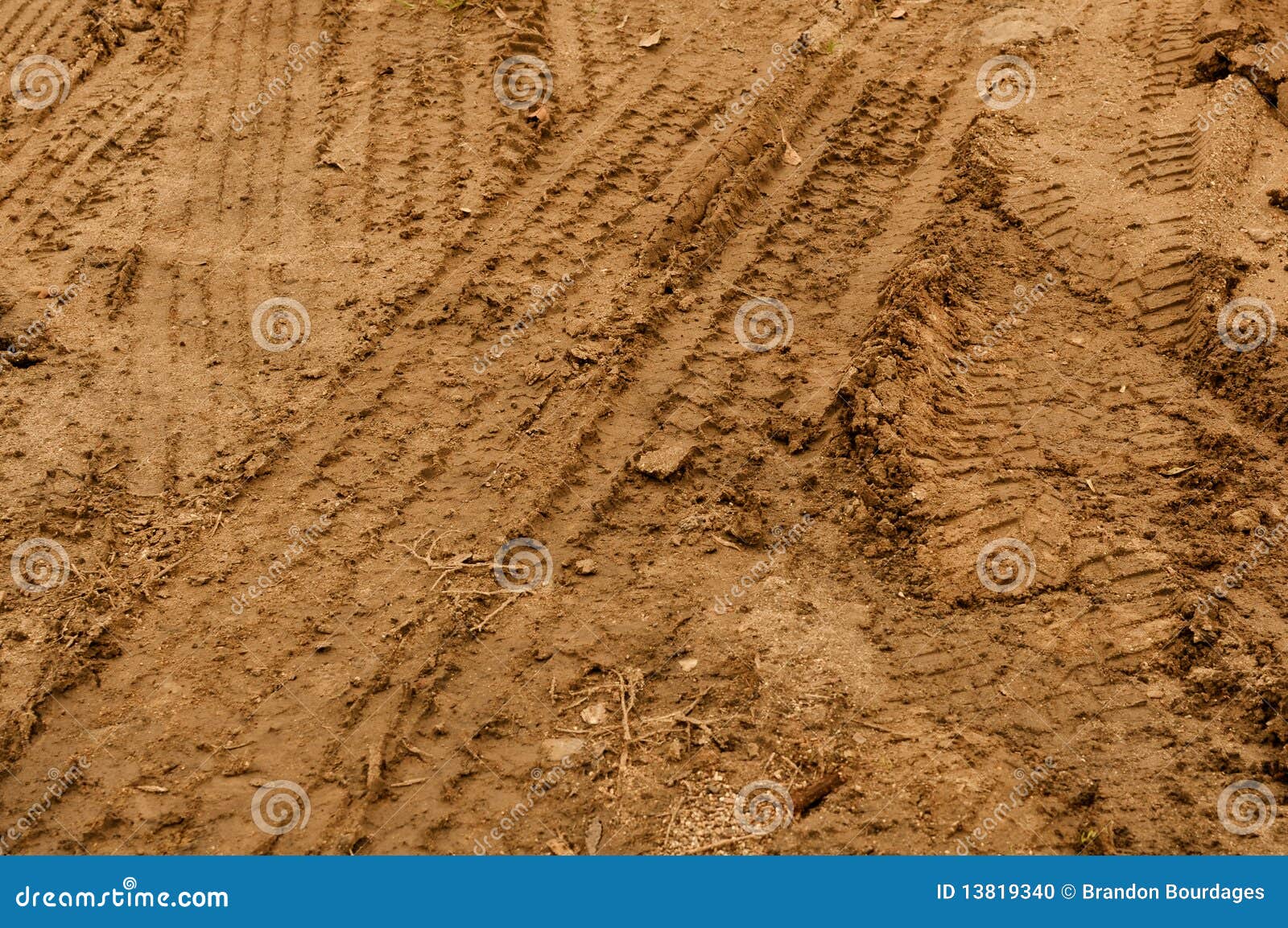 Tire Tracks In Dirt