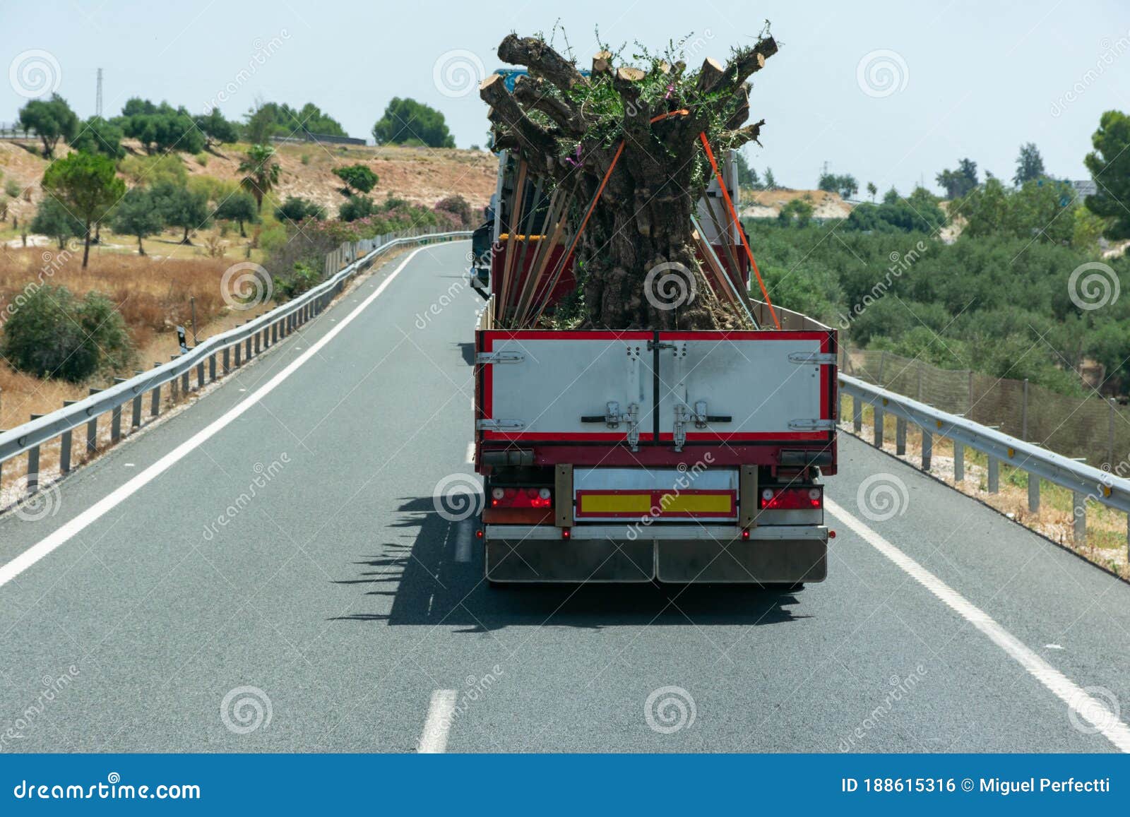 Truck carrying trees stock photo. Image of asphalt, transportation ...