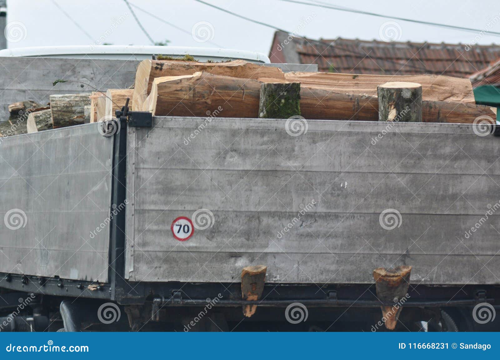 Transportation of Logs stock image. Image of landscape - 116668231