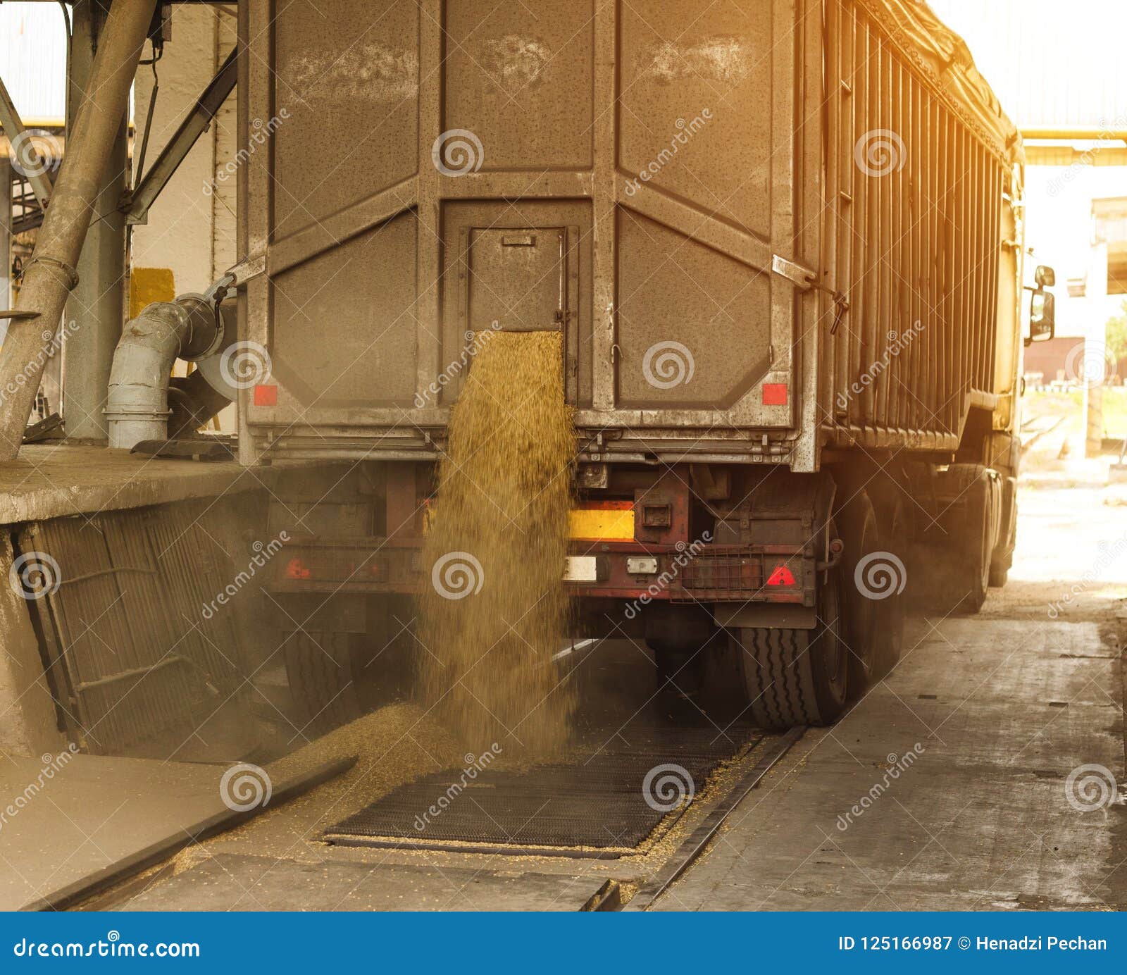 A Truck Unloads Grain at a Grain Storage and Processing Plant, a Grain ...