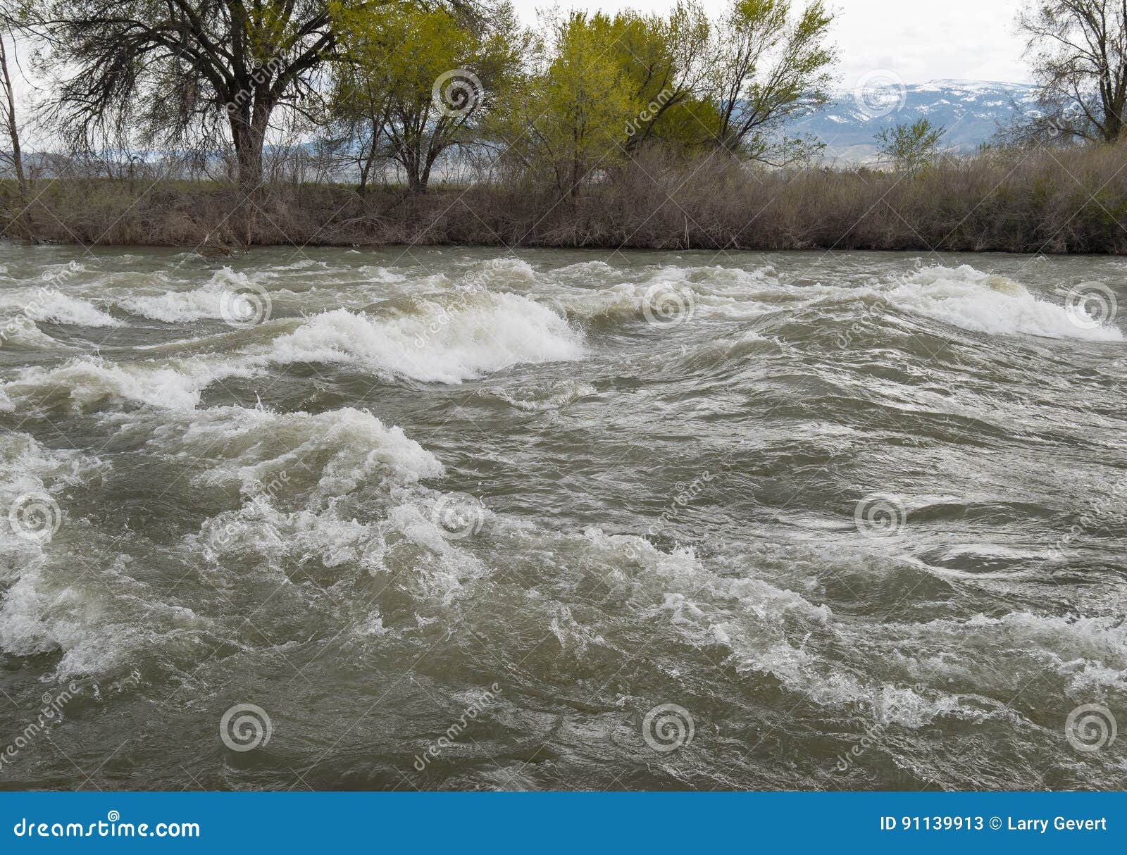 Truckee River, Spring Runoff Stock Image - Image of river, rapids: 91139913