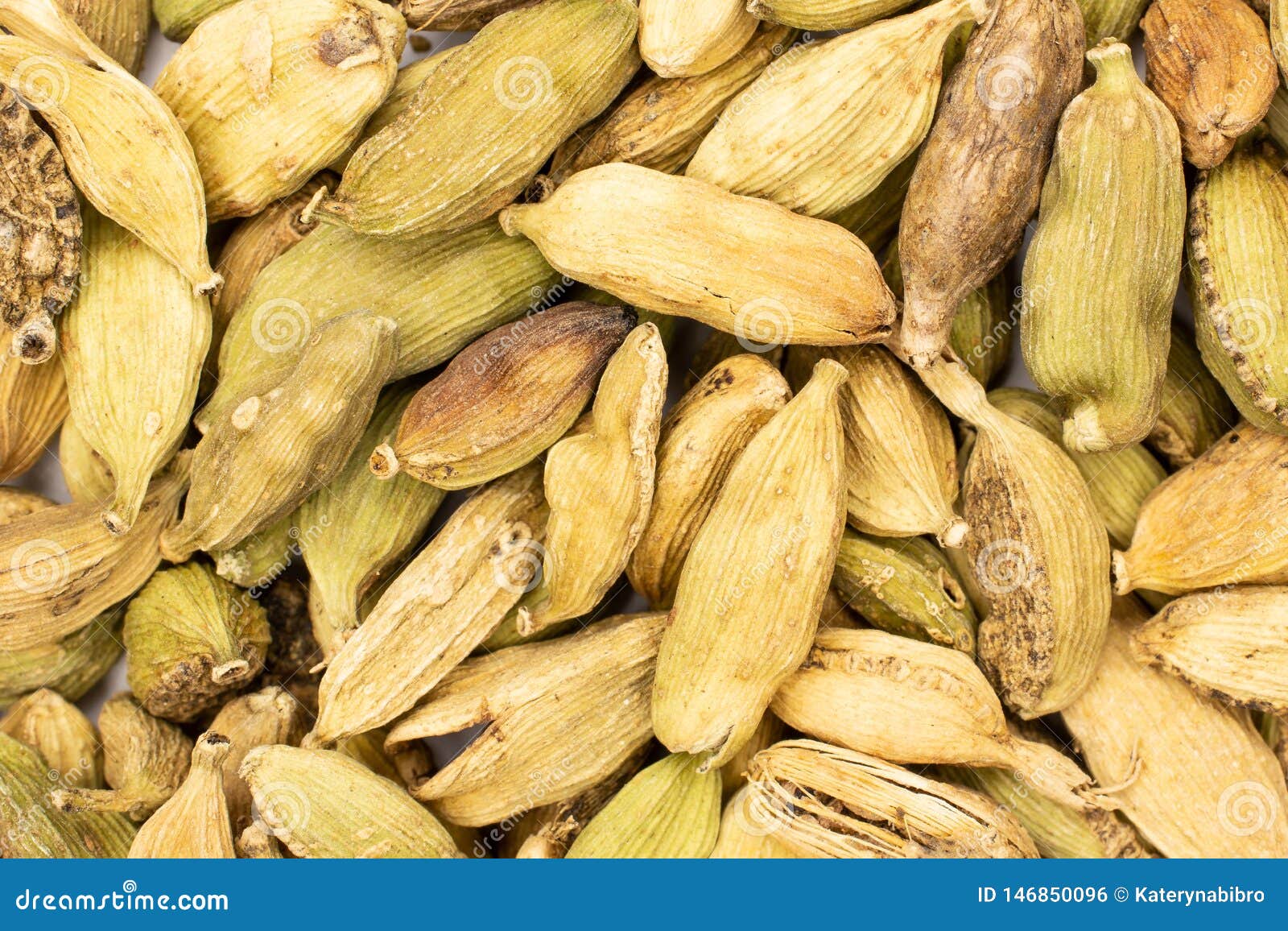 True cardamom pod stock photo. Image of group, cardamum - 146850096