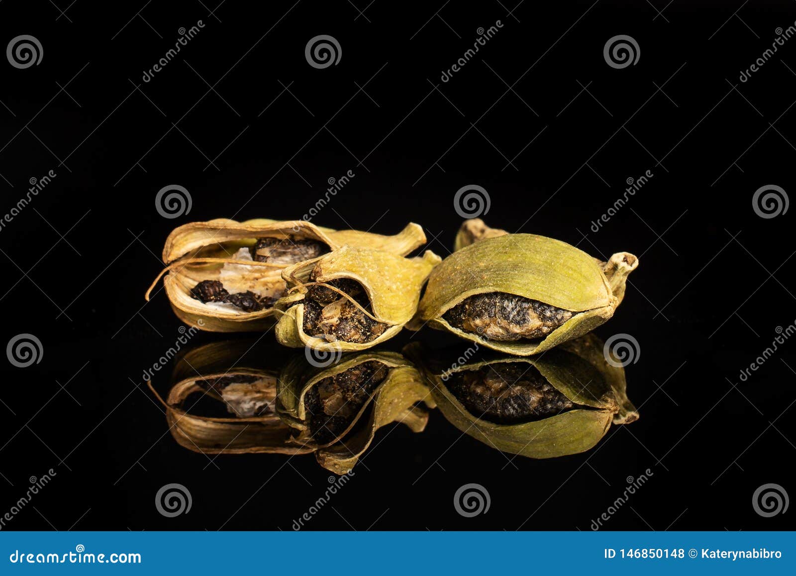 True Cardamom Pod Isolated on Black Glass Stock Photo - Image of ...