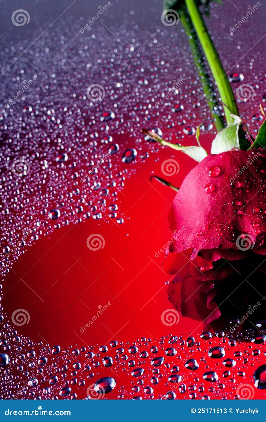 True love background stock image. Image of marriage, design - 25171513