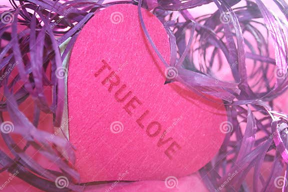 True Love Heart stock photo. Image of affection, true - 18043564