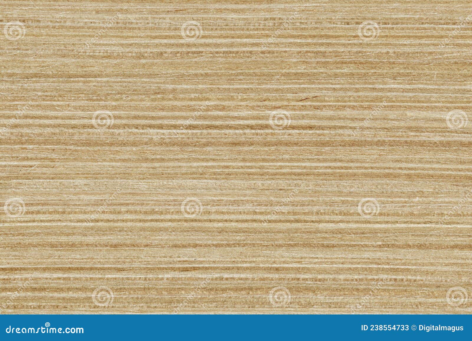 True texture of maple stock image. Image of hardwood - 238554733
