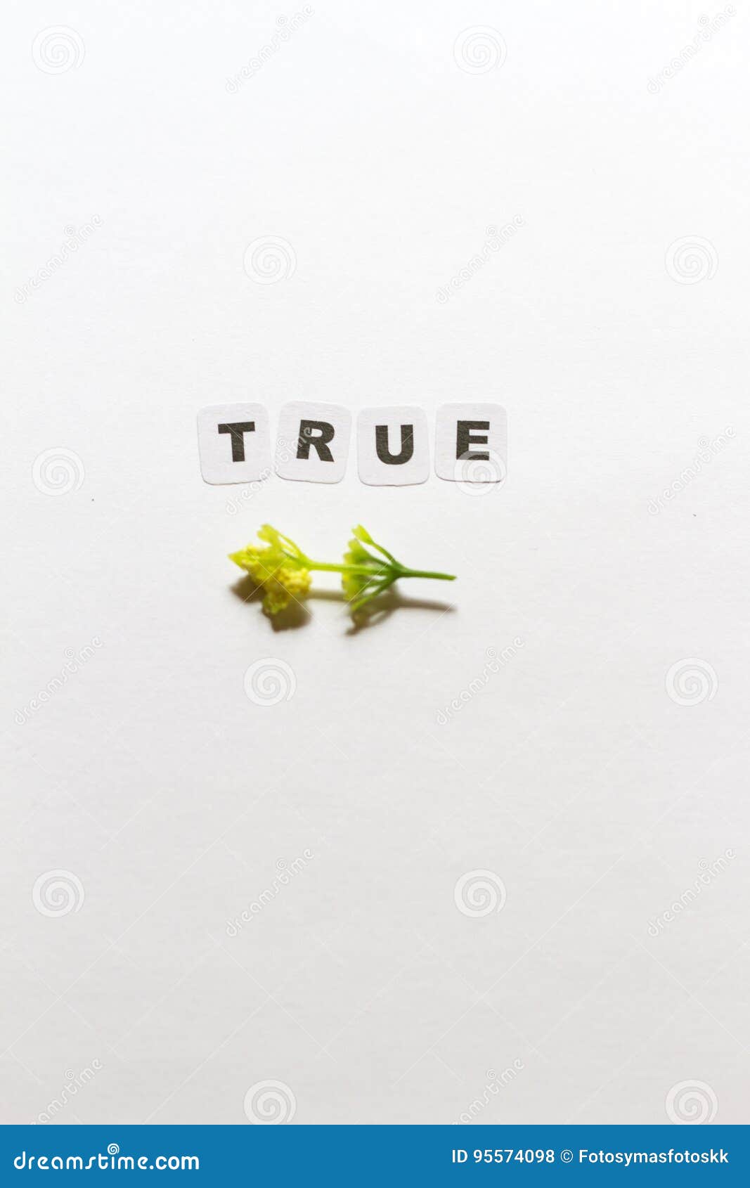 True Word Written in Black Letters Stock Photo - Image of typography ...