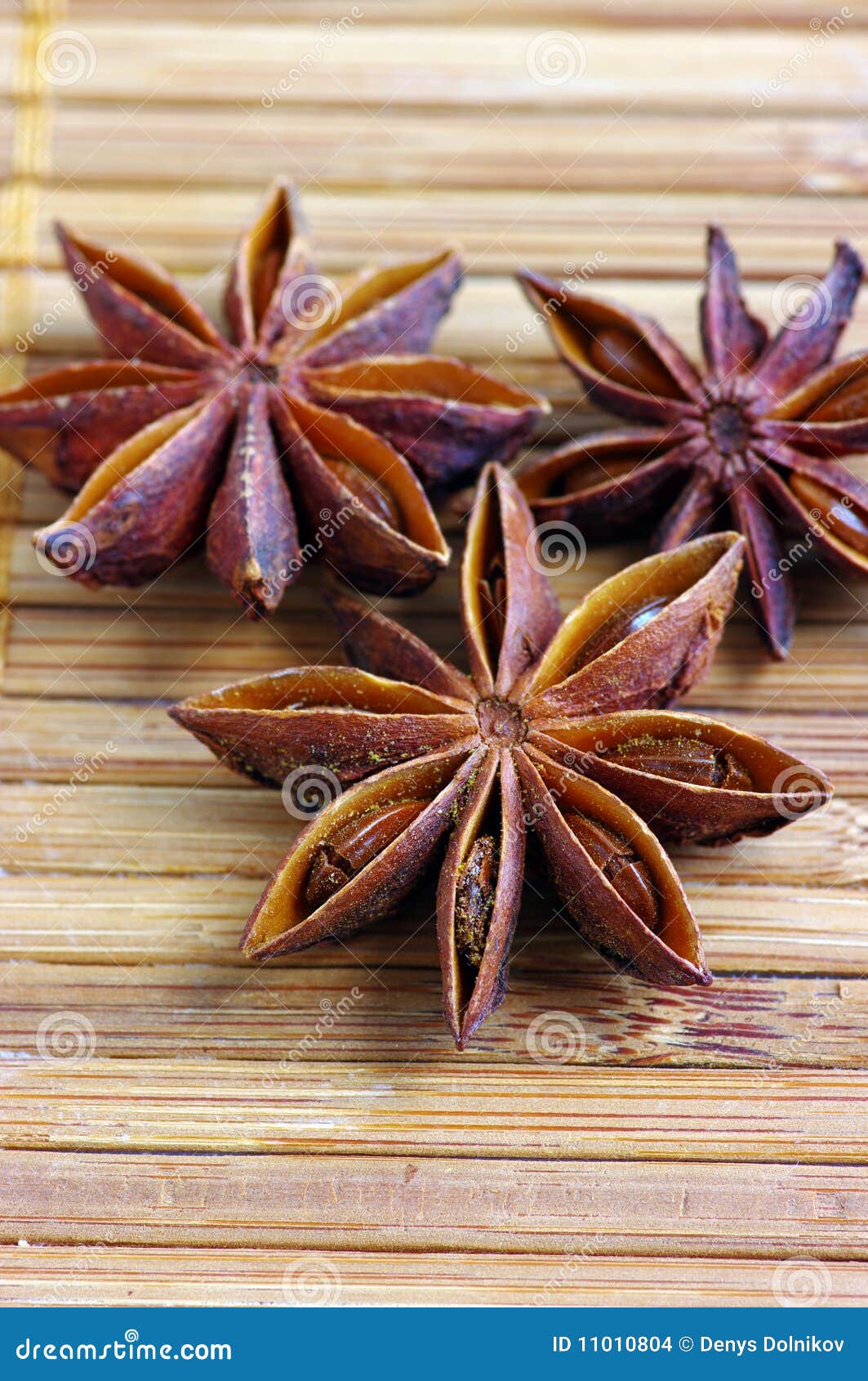 Truestar spices stock photo. Image of anise, truestar - 11010804