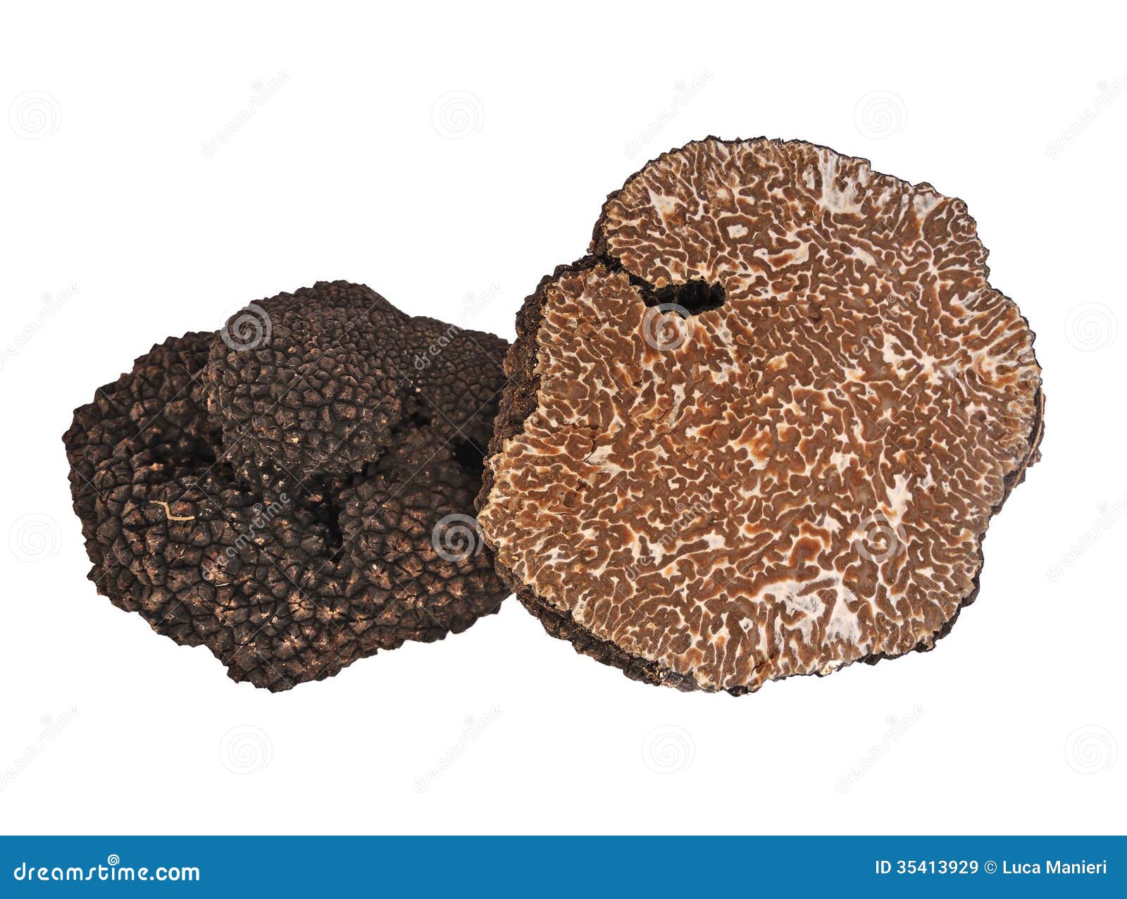 Trufa negra imagen de archivo. Imagen de olor, seta, trufa - 35413929