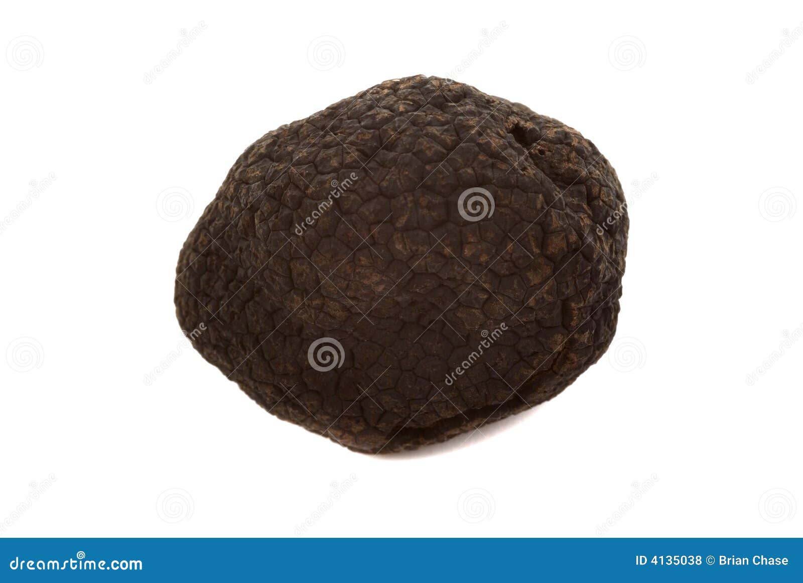 Trufa preta foto de stock. Imagem de vegetariano, caro - 4135038