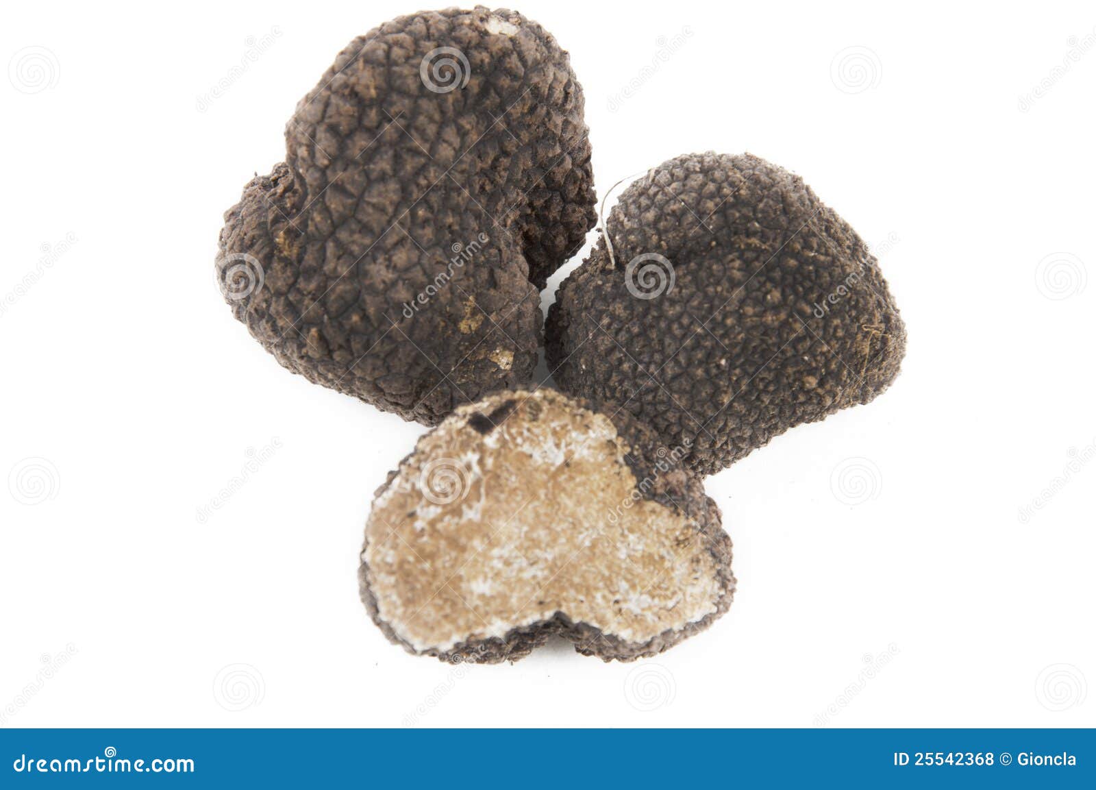 Trufa Preta Recentemente Colhida Foto de Stock - Imagem de cogumelo ...