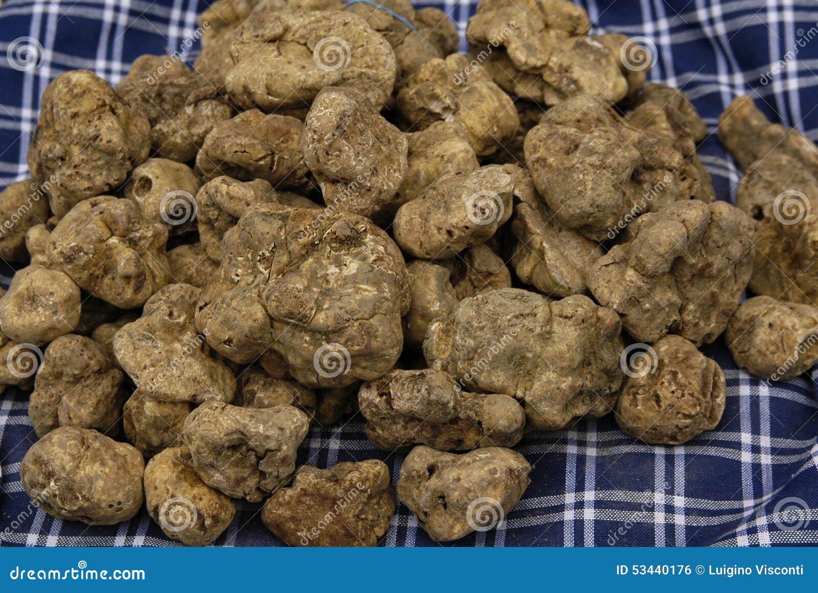 Trufas Blancas Y Negras En Italia Foto de archivo - Imagen de delicioso ...