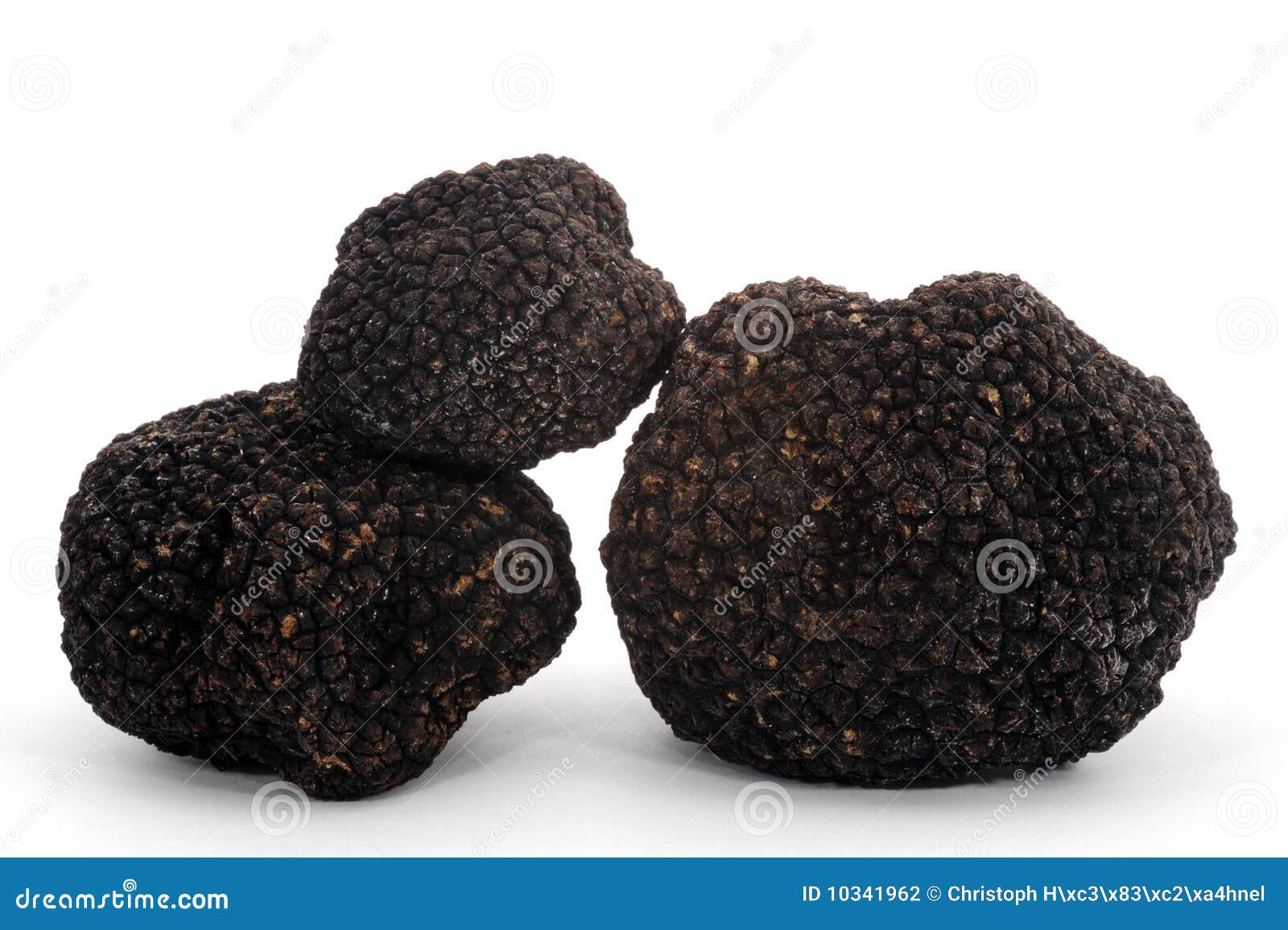 Truffel stock foto. Image of specialiteit, duur, smaak - 10341962