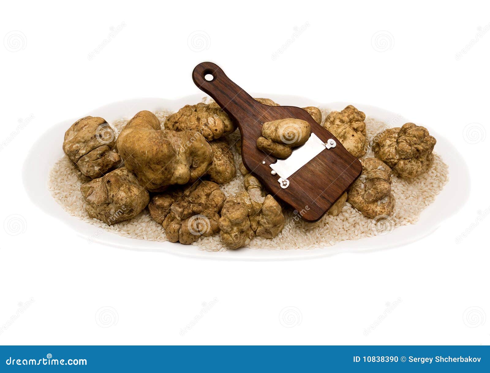 Truffle stock photo. Image of isolated, ingredient, bianchetto - 10838390