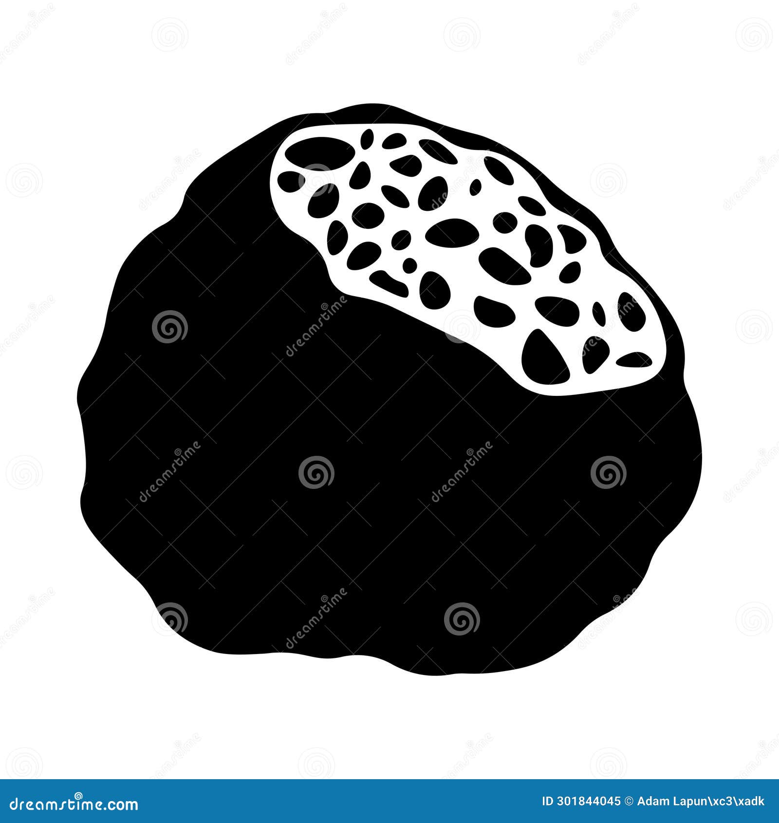 Truffle Oil And Black Edible Truffle Vector Drawing. Engraved Style ...