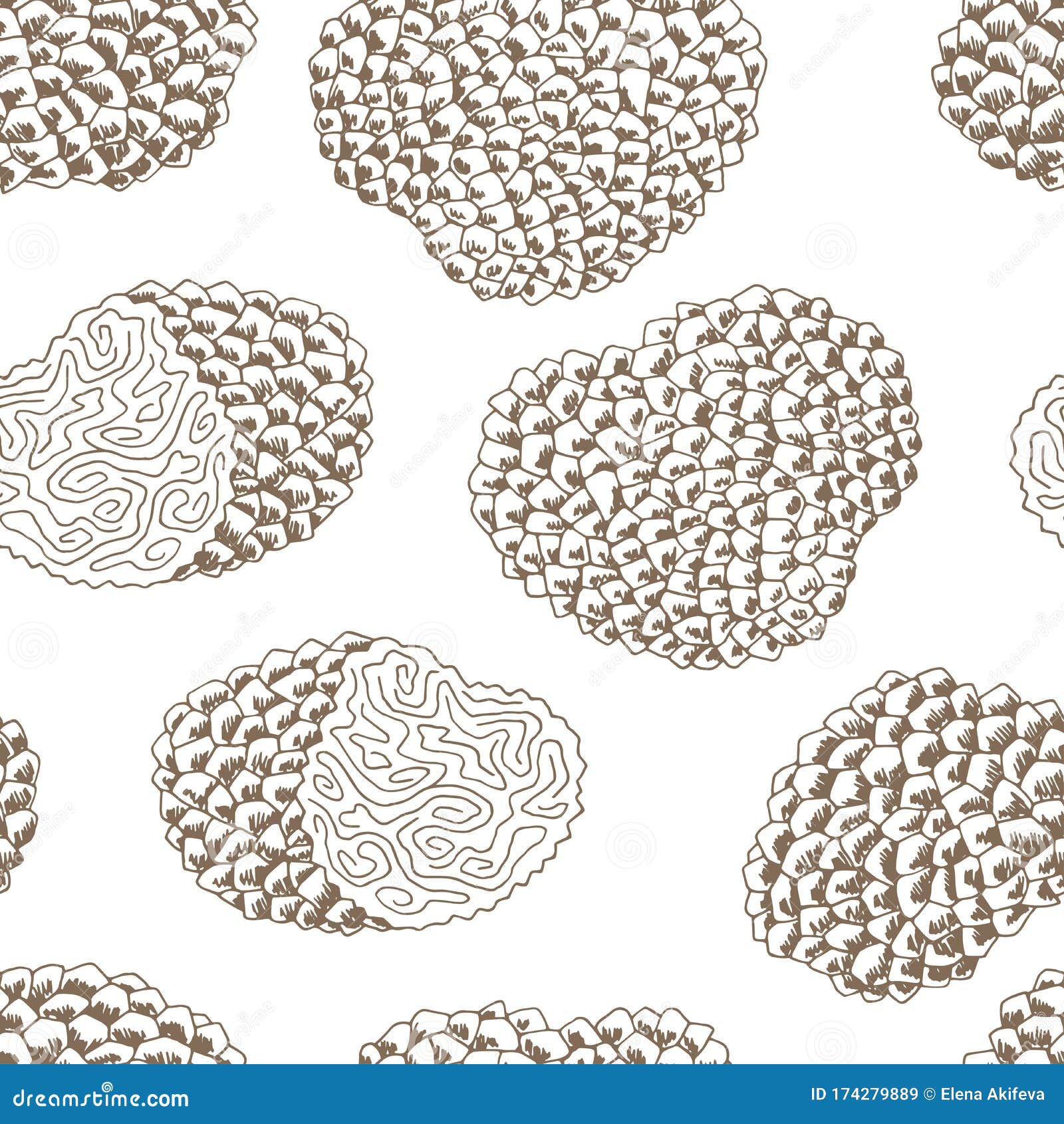 Truffle Mushrooms Graphic Color Seamless Pattern Background Sketch ...