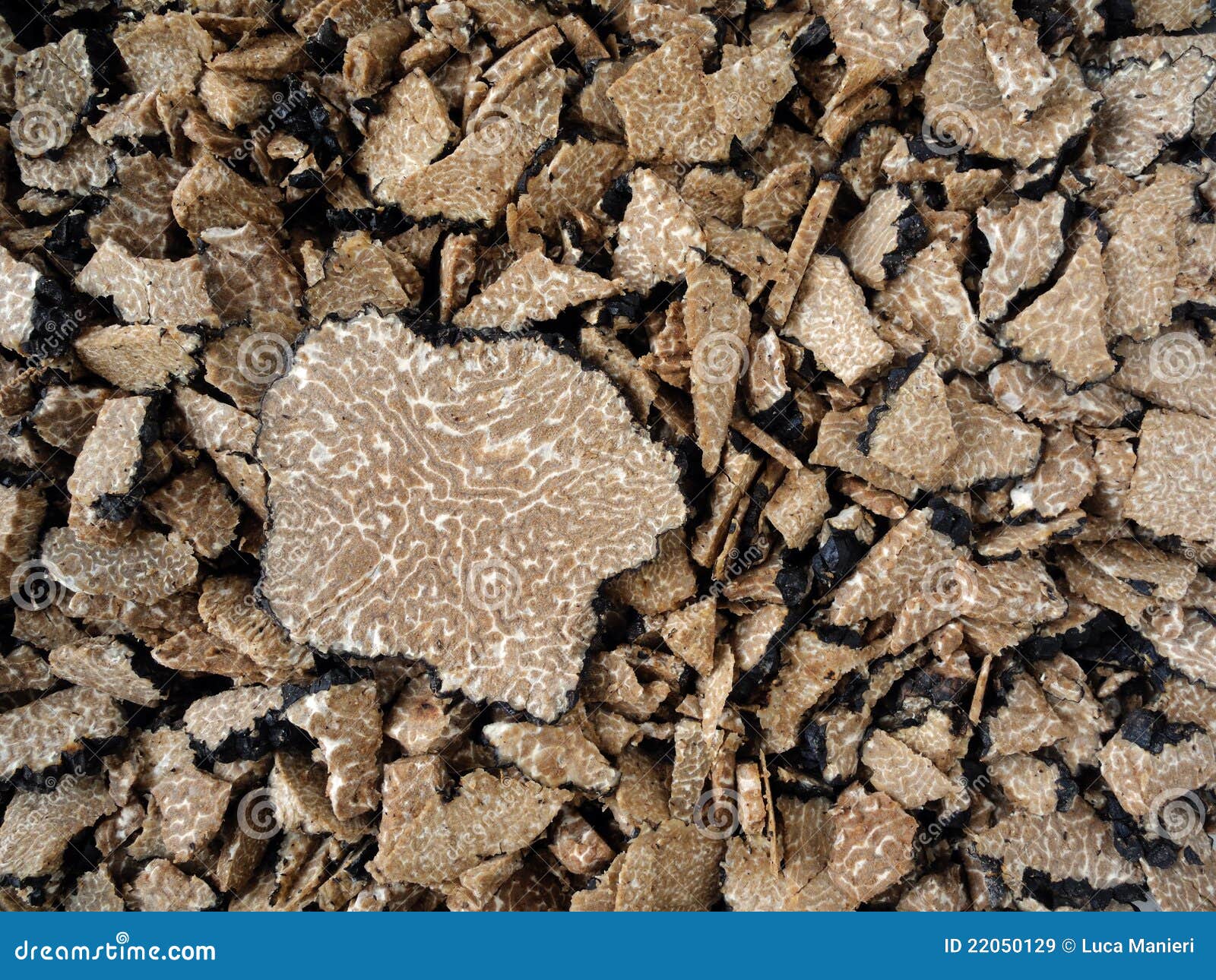 Truffle s slice stock image. Image of truffle, flavor - 22050129