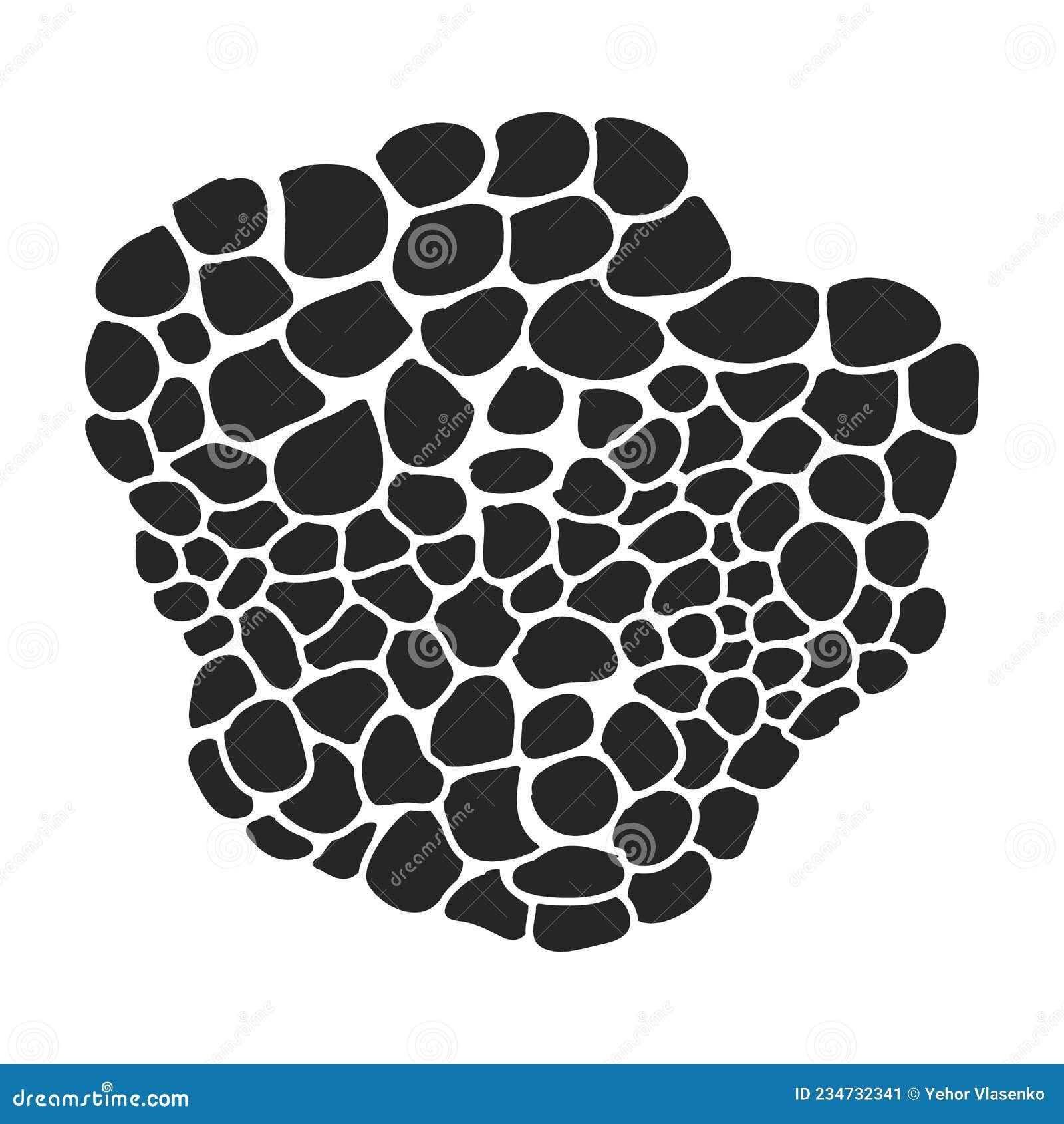Truffle Vector Illustration. Black Truffle Mushroom Vector Cartoon Set ...