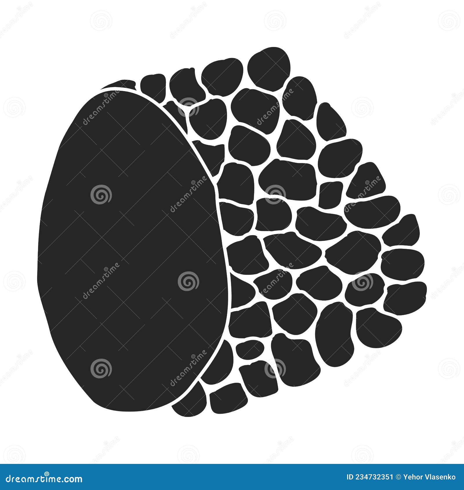 Truffle Vector Illustration. Black Truffle Mushroom Vector Cartoon Set ...