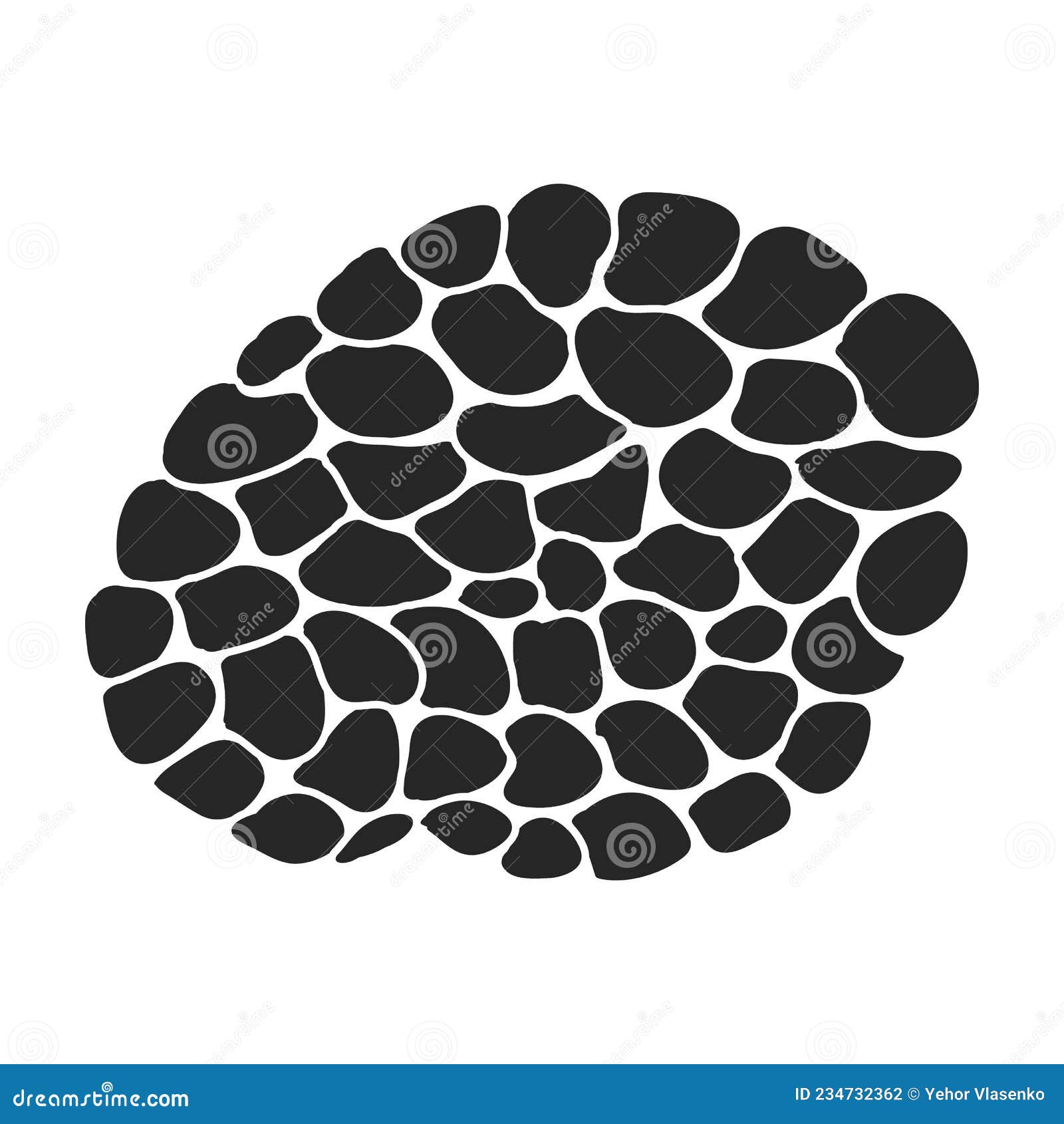 Truffle Vector Illustration. Black Truffle Mushroom Vector Cartoon Set ...