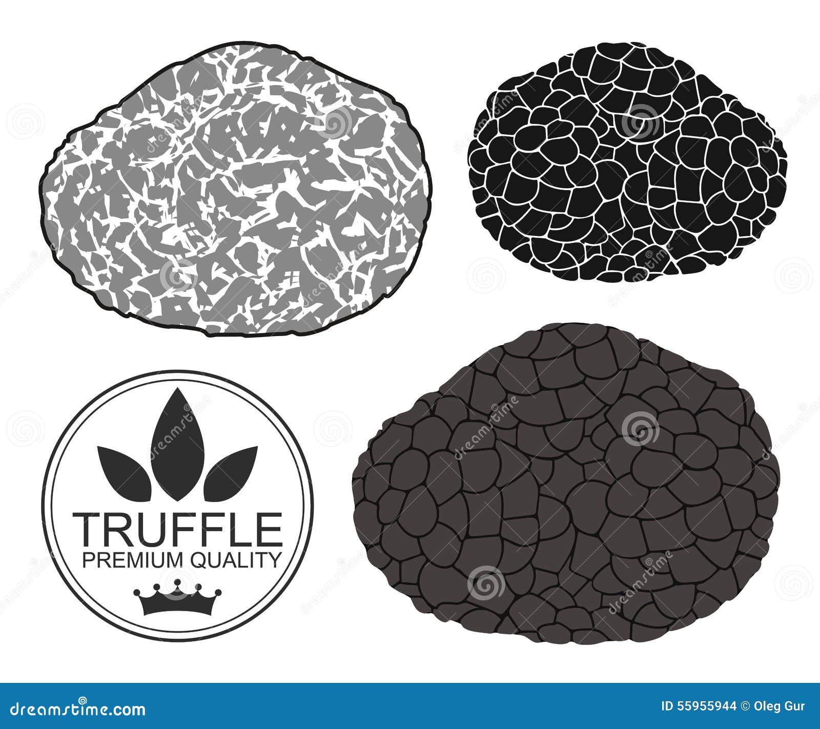 Truffle stock vector. Illustration of banner, delicacy - 55955944