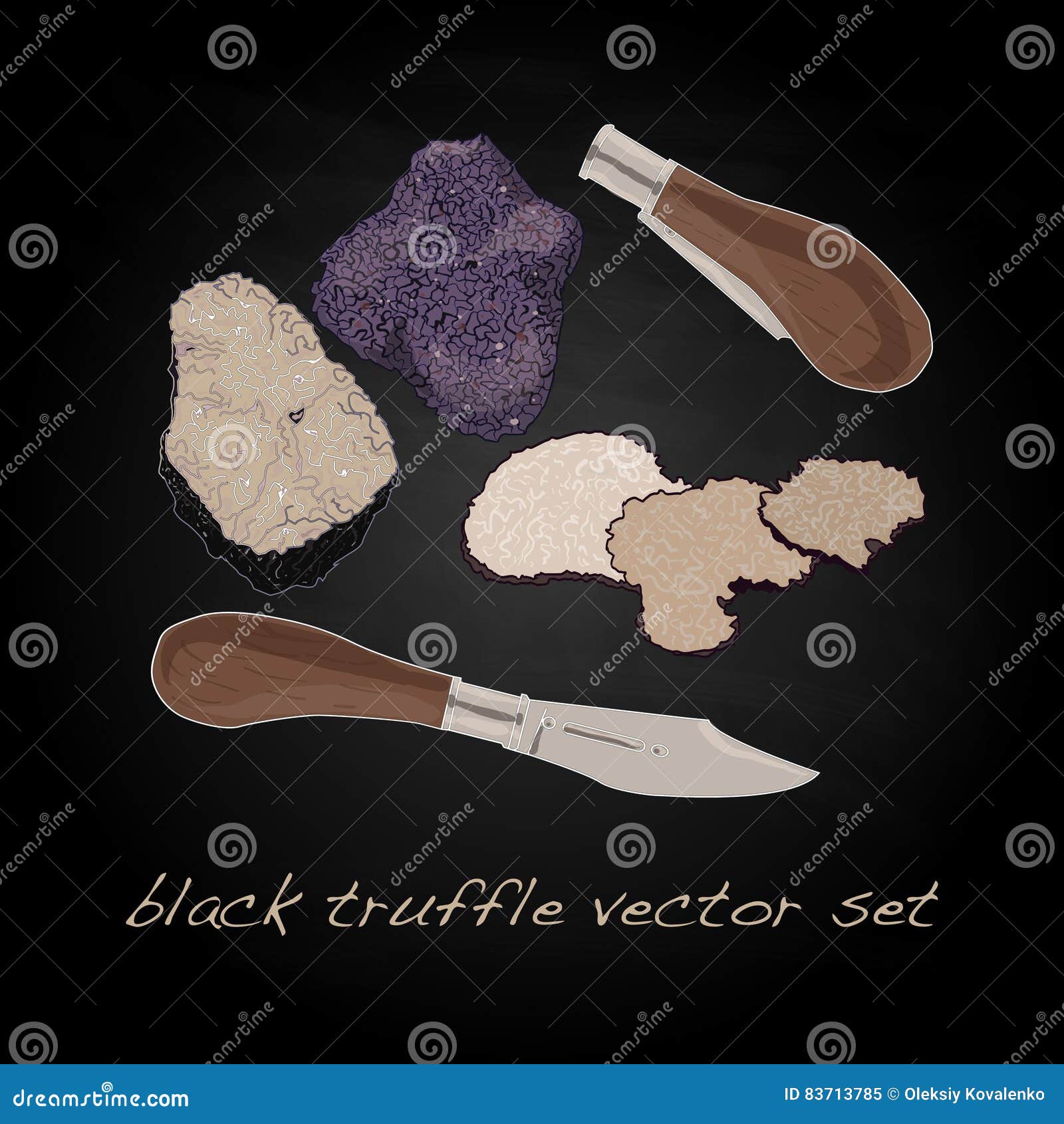 Truffle Vector Illustration. Black Truffle Mushroom Vector Cartoon Set ...
