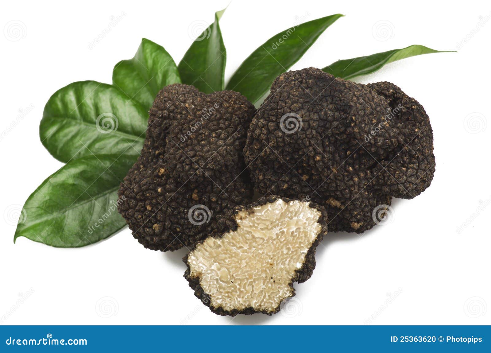 Truffles stock photo. Image of chef, refined, gourmet - 25363620