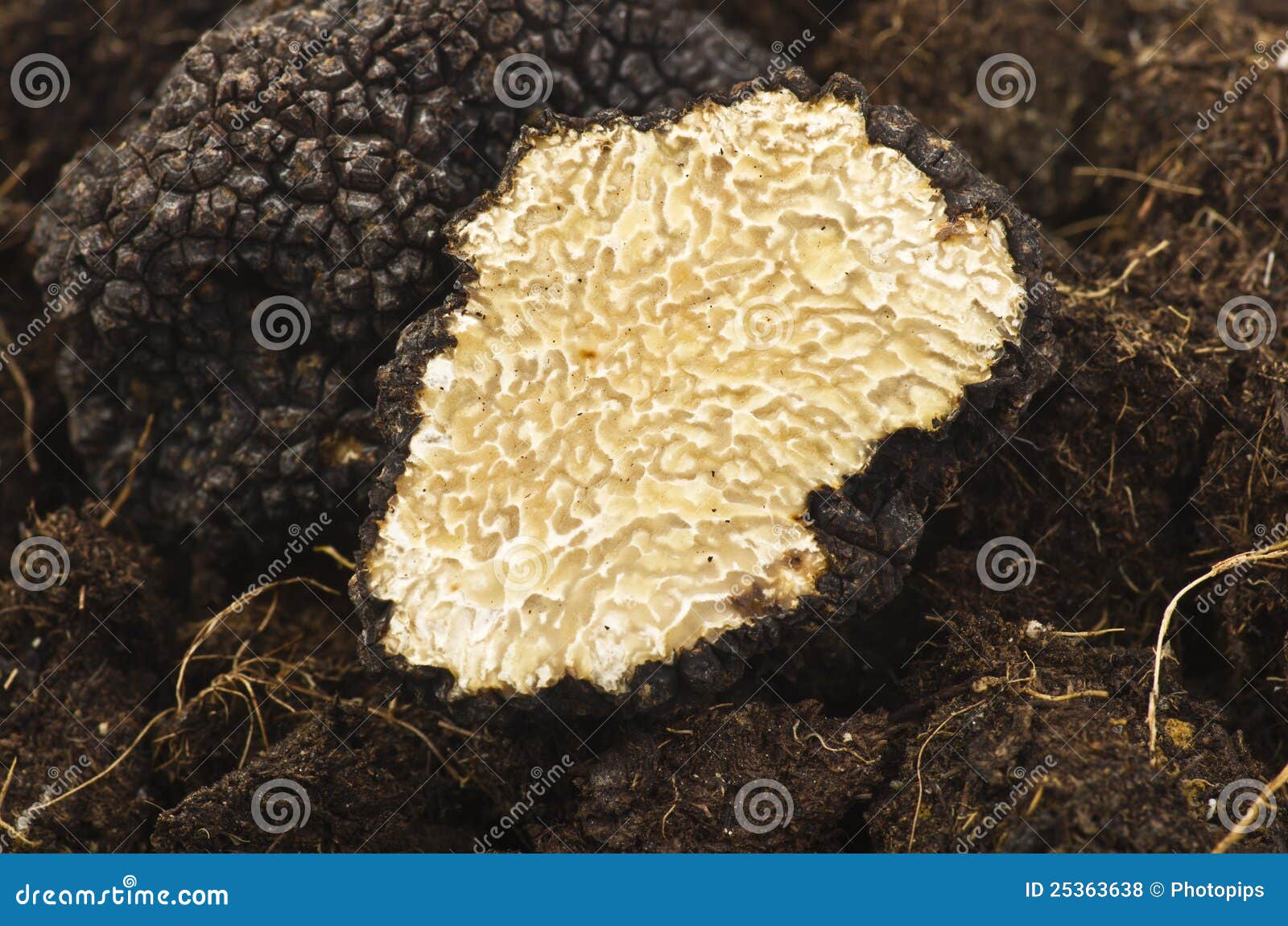 Truffles stock photo. Image of flakes, nature, background - 25363638