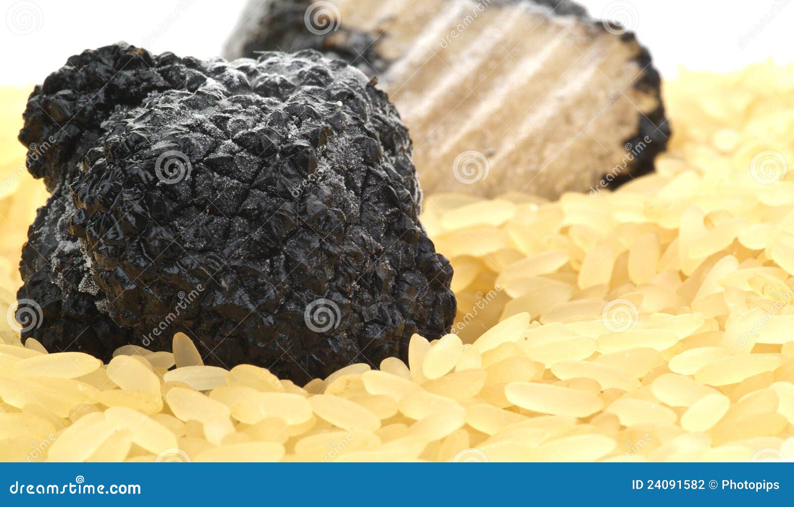 243 Truffles Rice Stock Photos - Free & Royalty-Free Stock Photos from ...