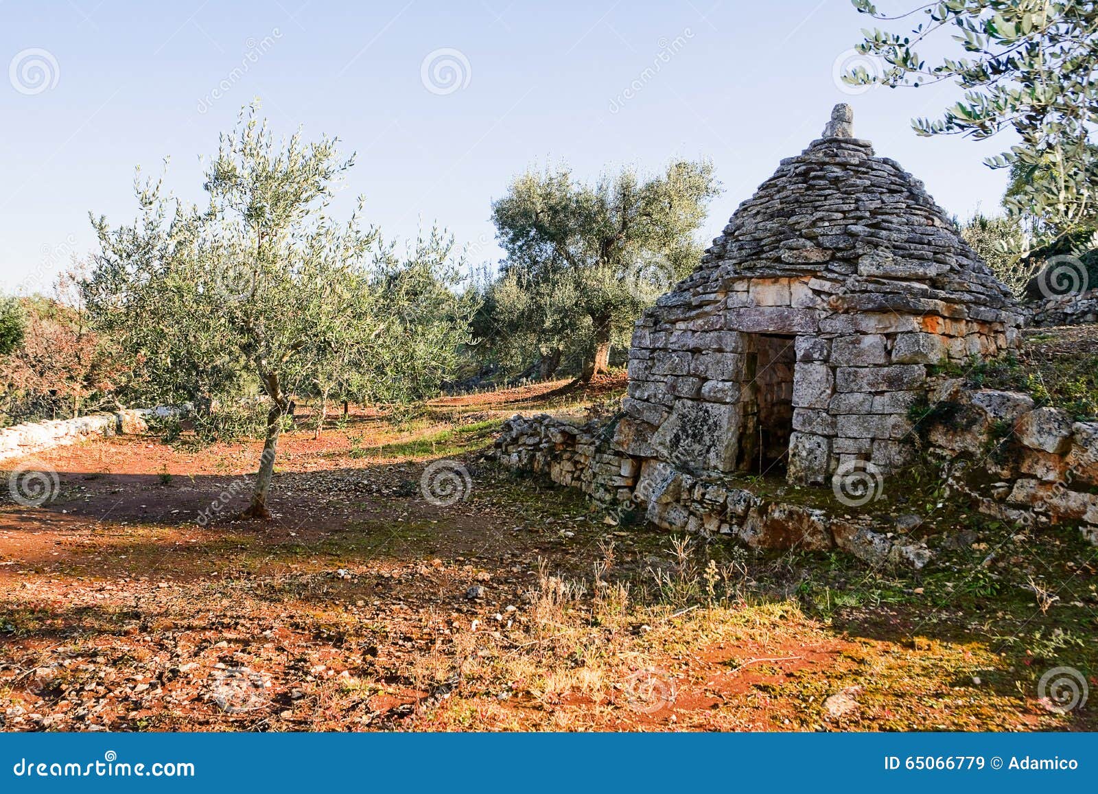 Trulli and olive tree stock image. Image of pinnacle - 65066779